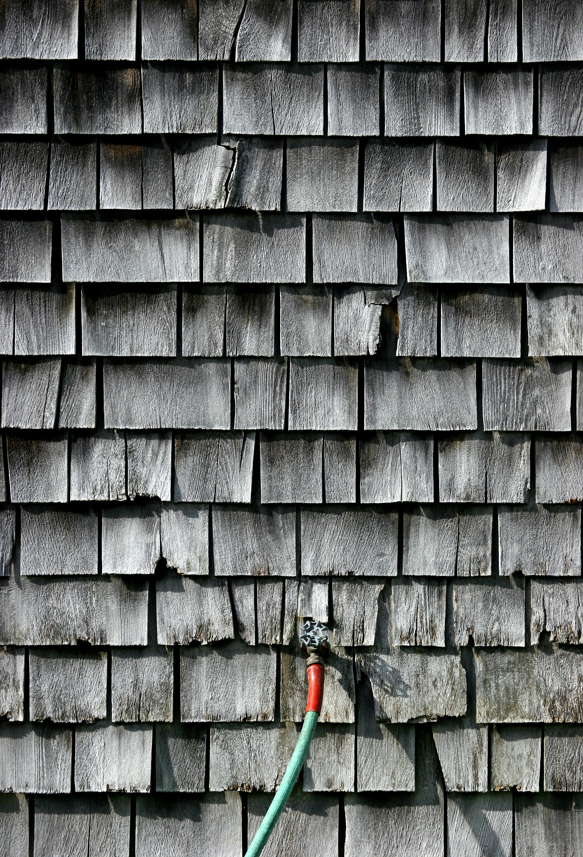 Emerald Hose Reaches Through Weathered Cedar Shingles
