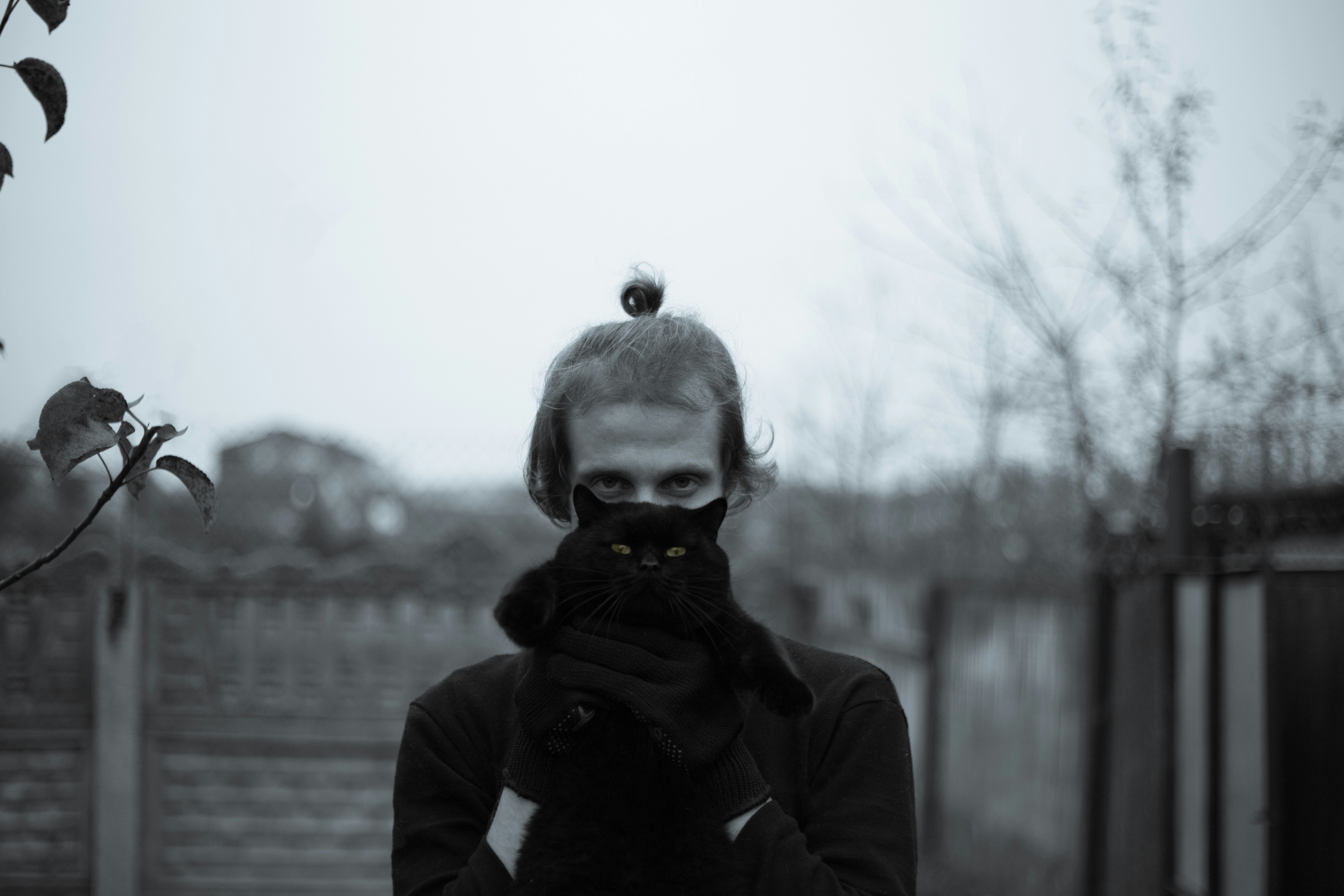 Veil of Gaze: A Quiet Portrait Behind the Black Cat