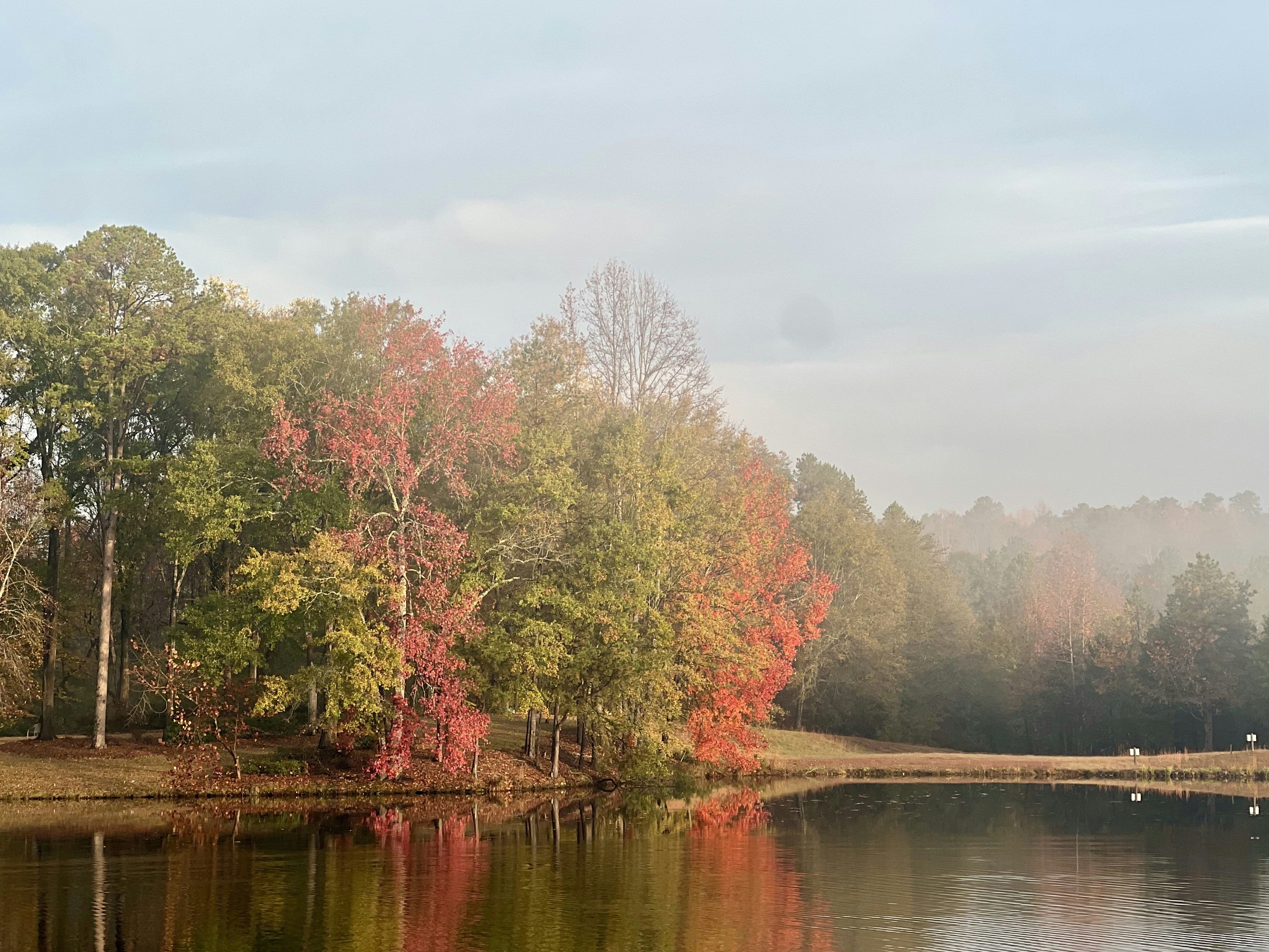 Crimson Foliage by the Misty Lake: Autumn Reflections