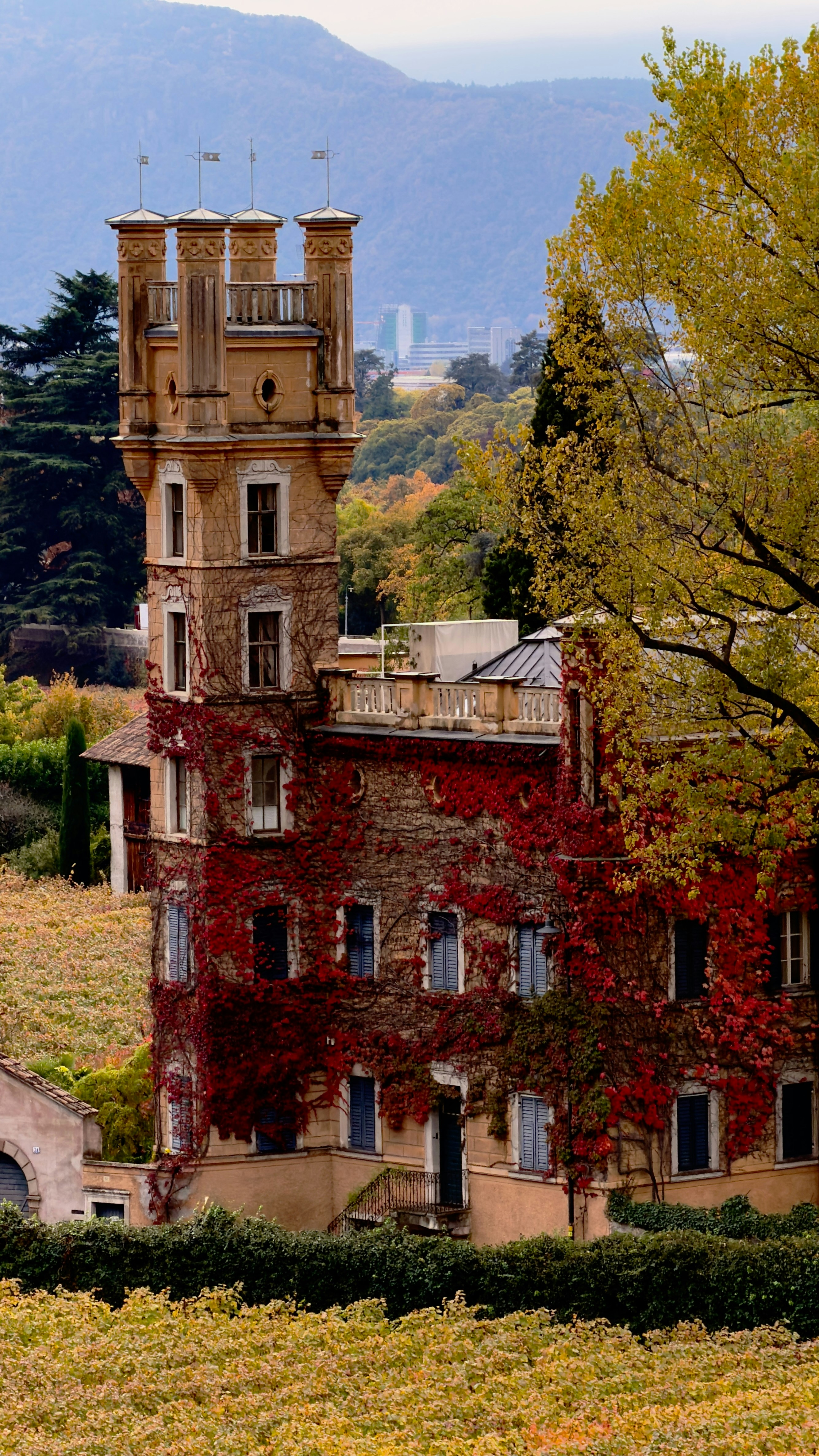 Crimson Ivy Cloaks a Bell-Tower Villa Amid Autumn Hills