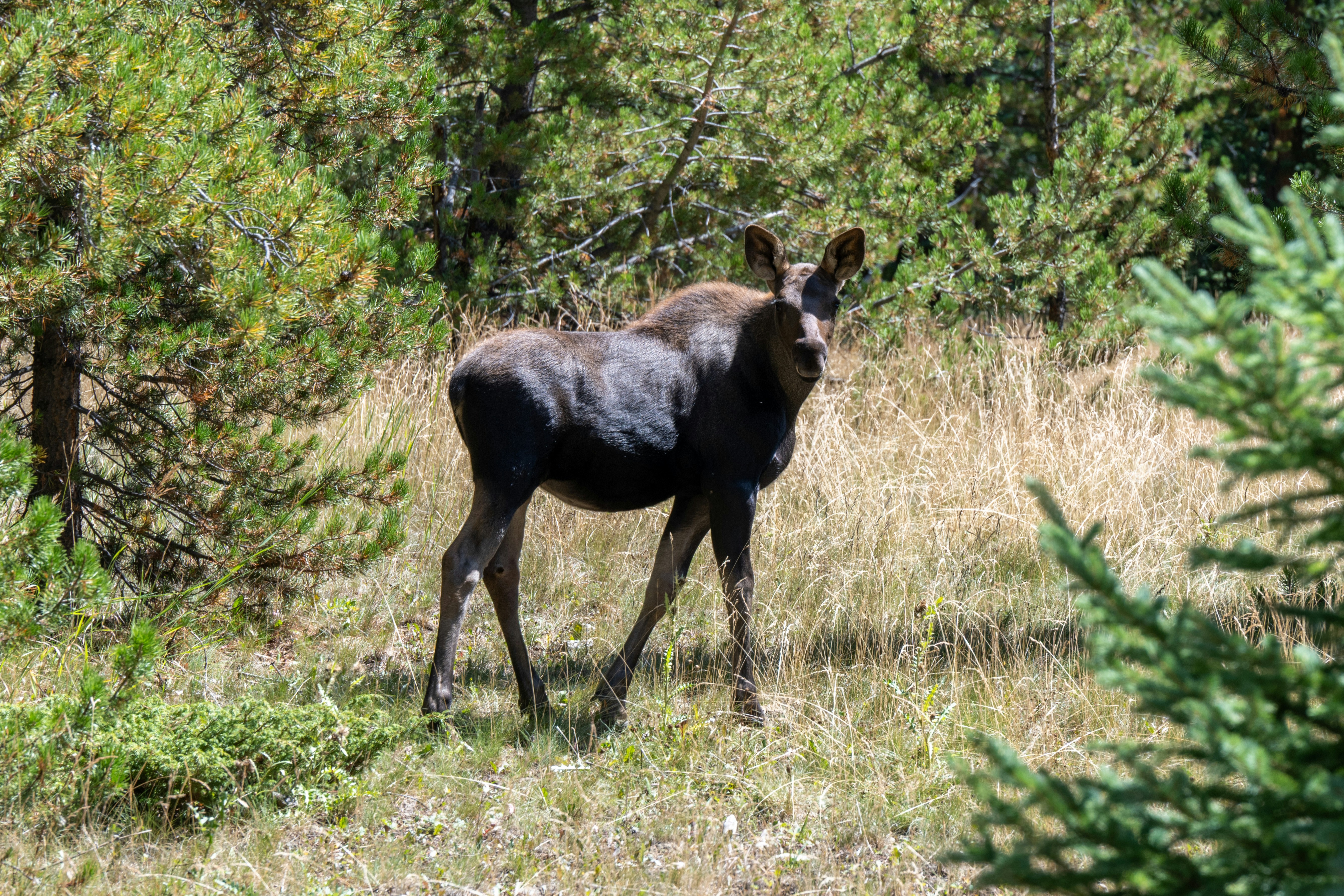 Photo by Ben Michel with Nikon Z7 II