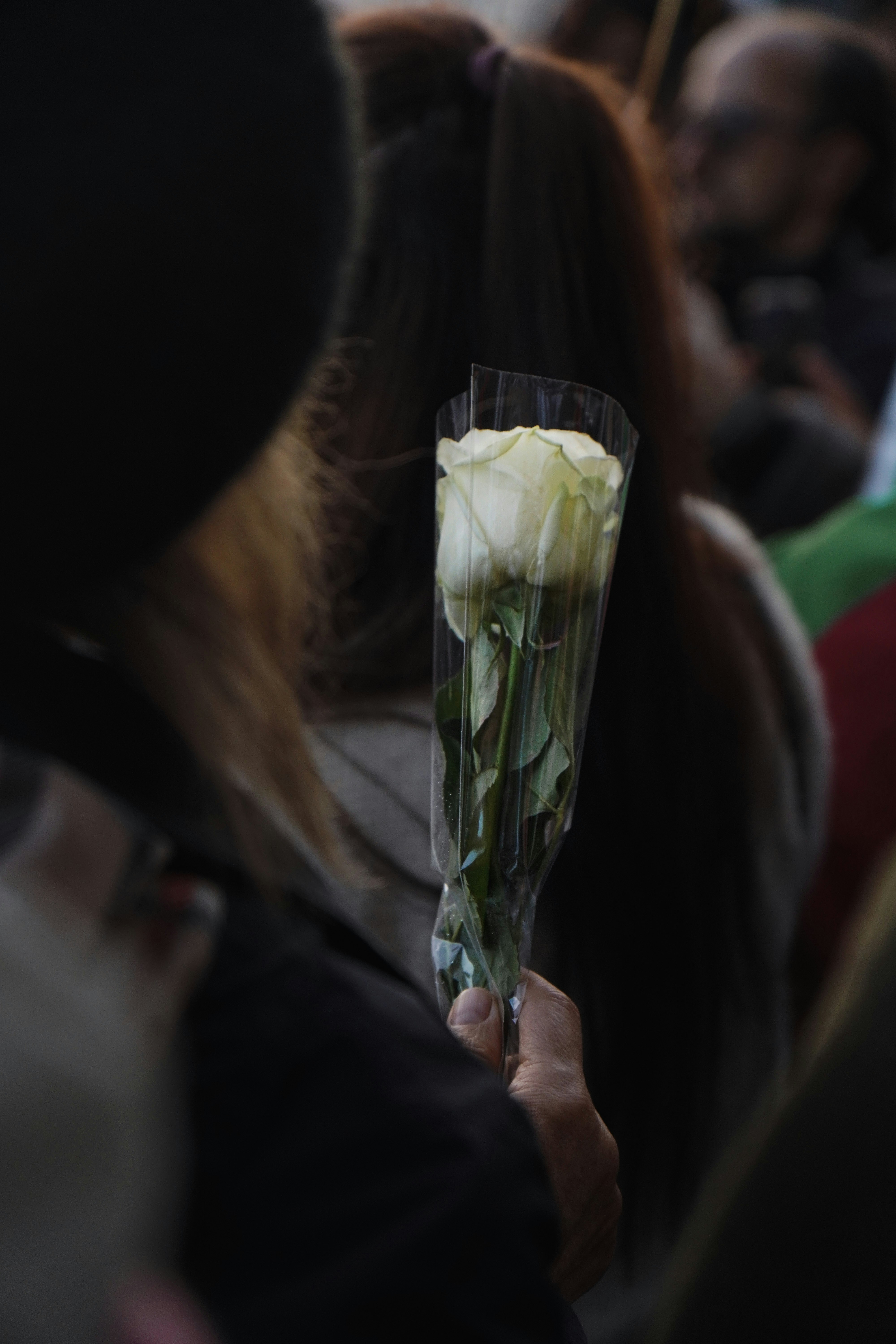 White Rose Reflected in a Bouquet Grasped Amid a Crowd