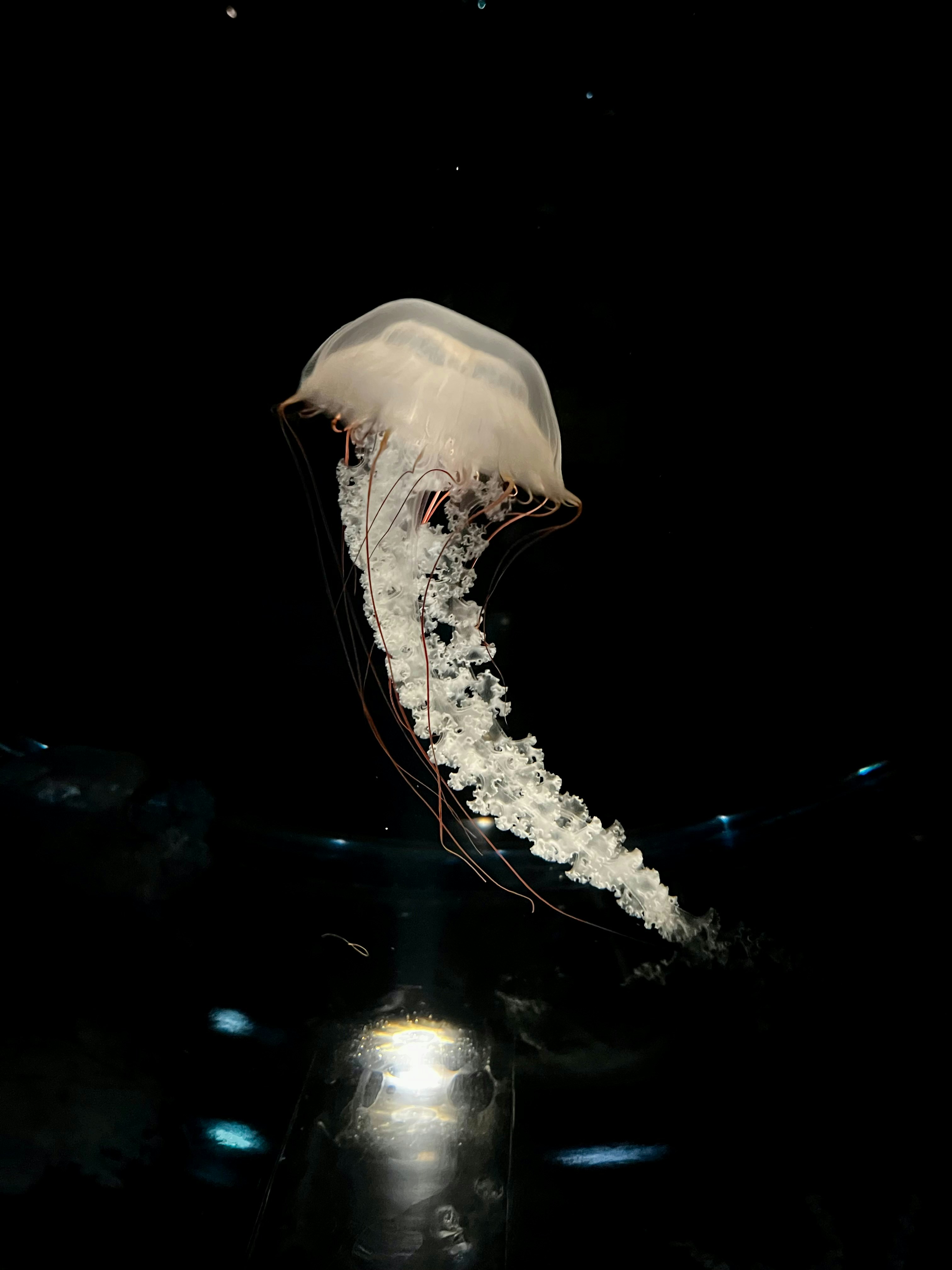 Photo by MaksimPlekhanov MaksimPlekhanov with Apple iPhone 13