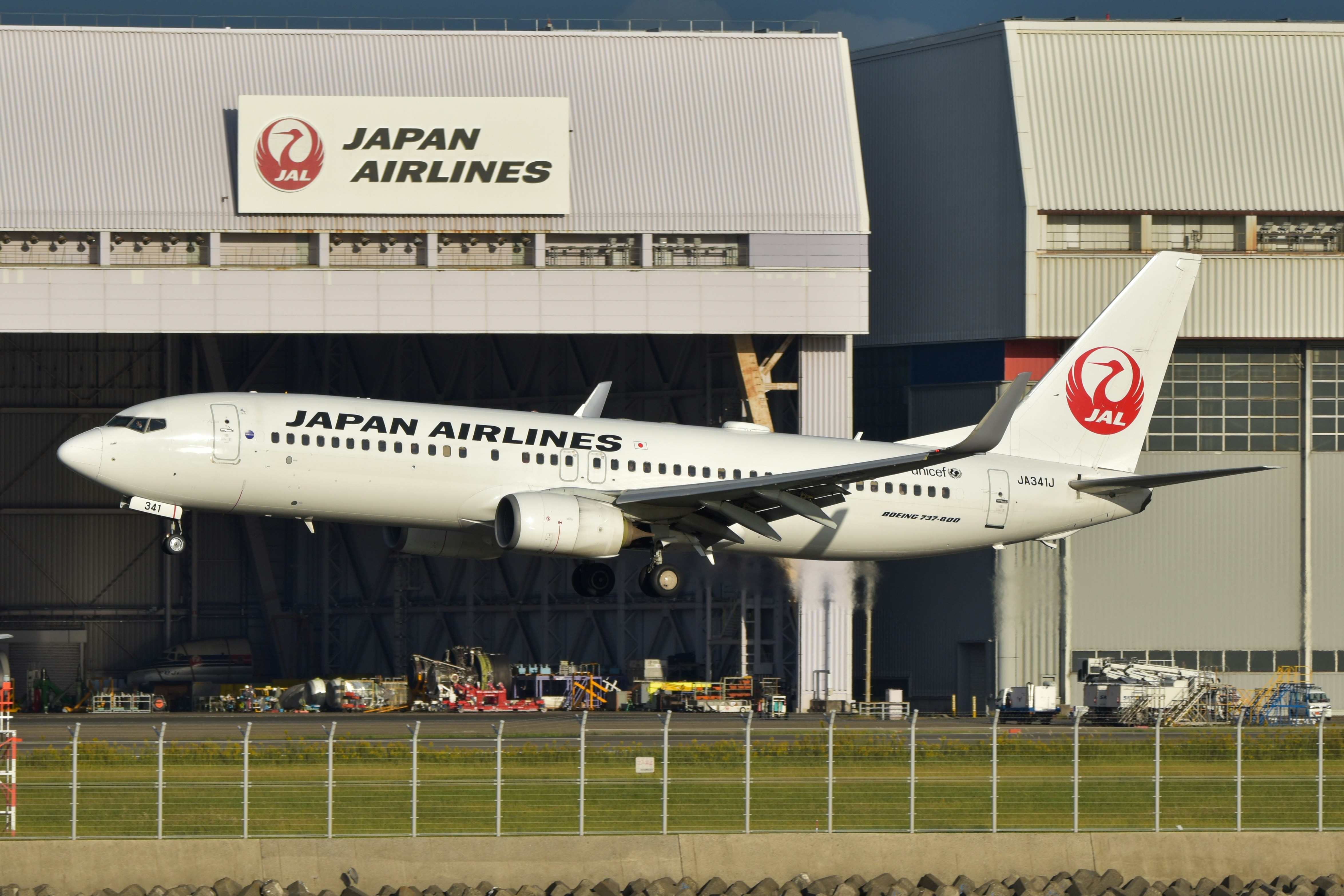 Japan Airlines 737 arriving in Tokyo Haneda Airport (HND)