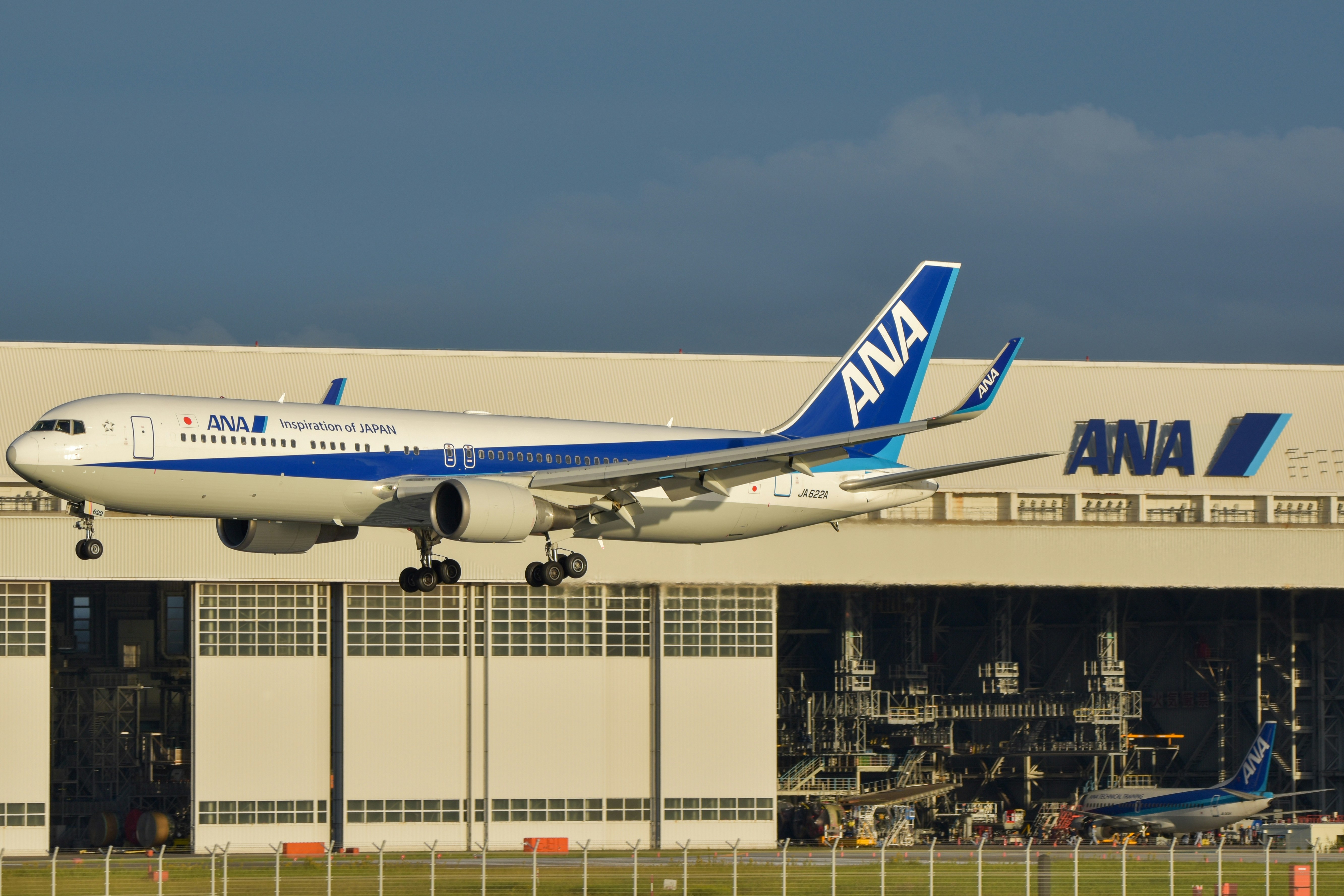 ANA Jet Skims the Hangar Edge Under Daylight