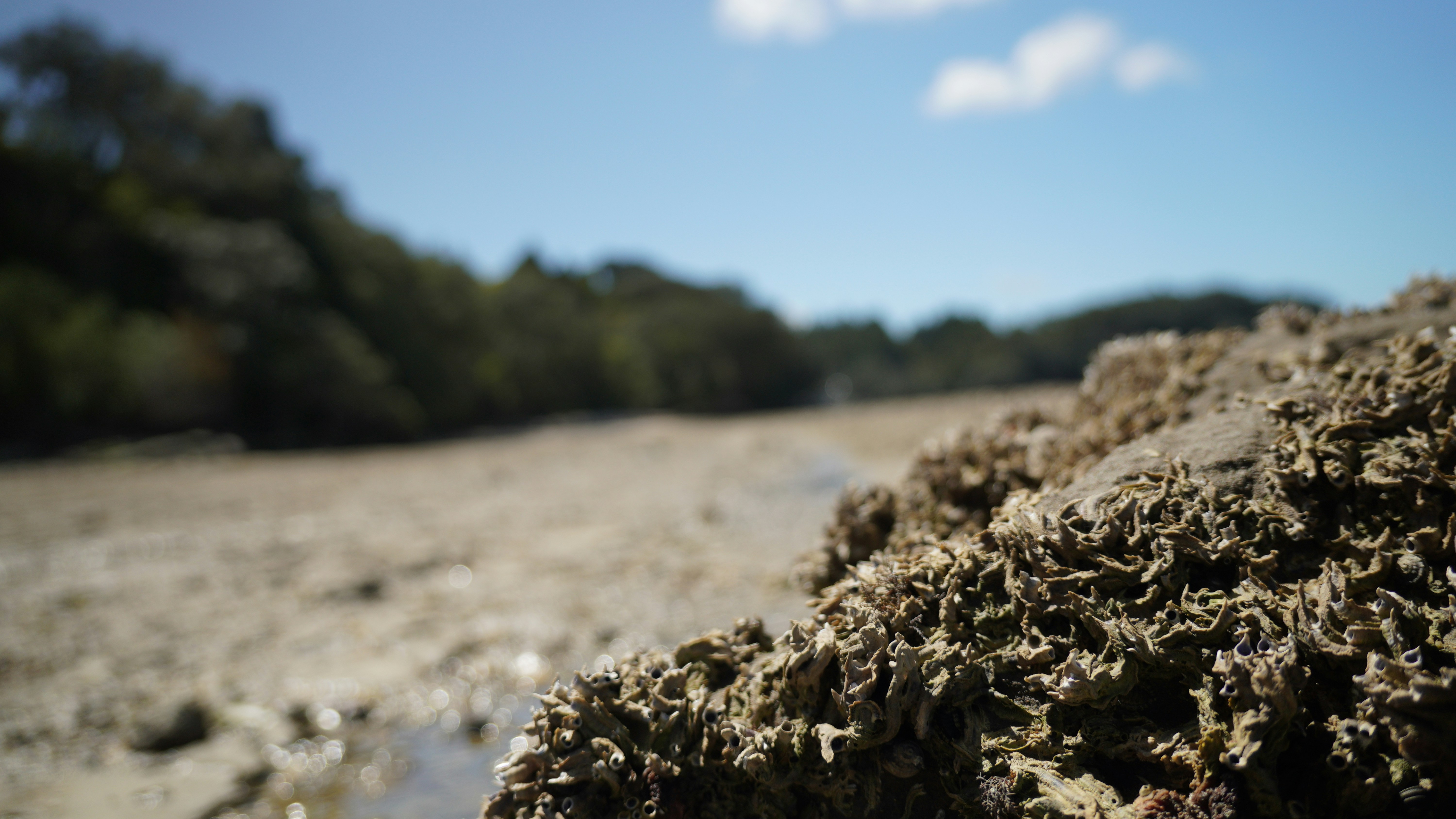 Photo by Mary Grace Gonzales with Sony Alpha 6400