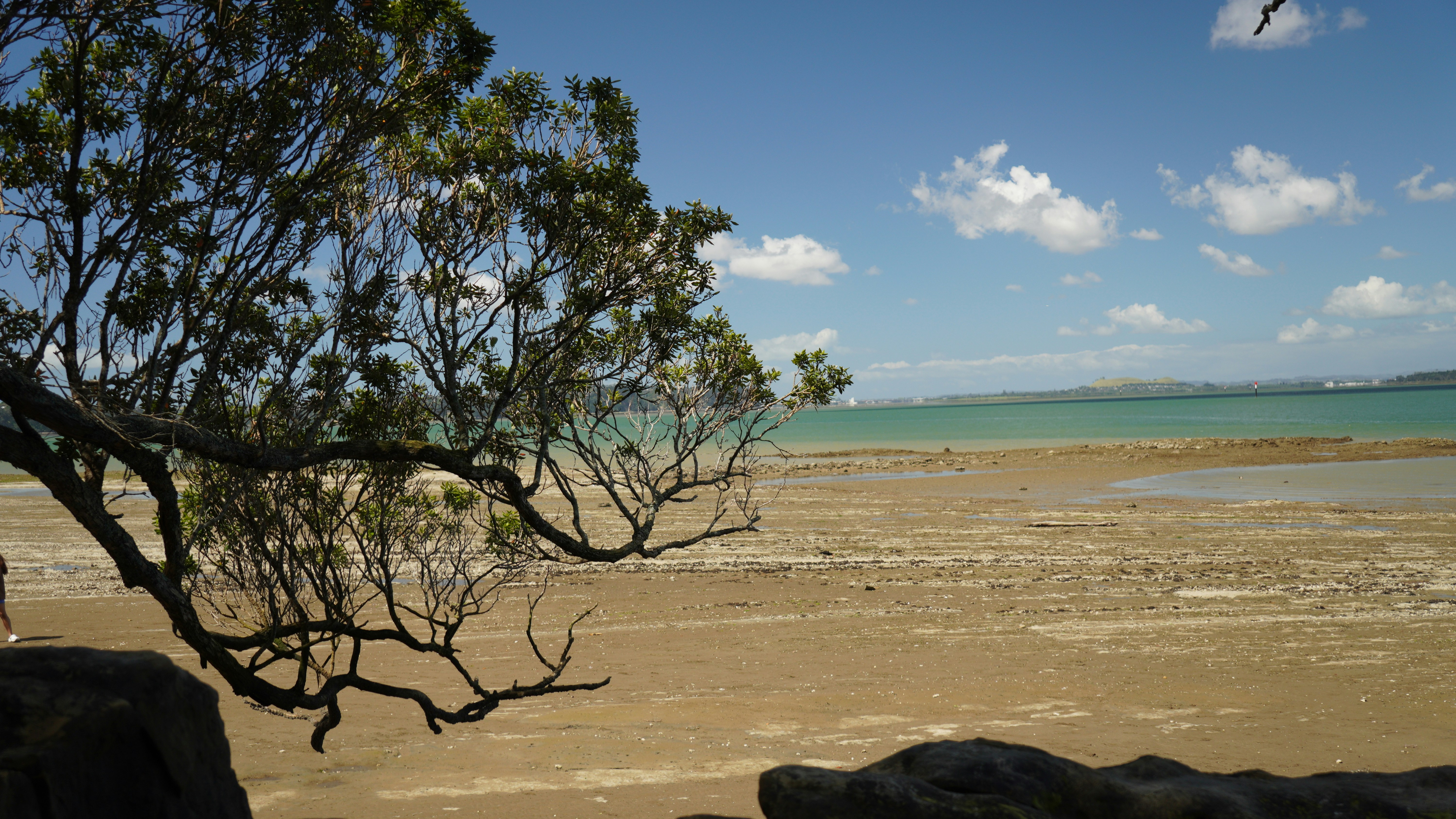 Photo by Mary Grace Gonzales with Sony Alpha 6400