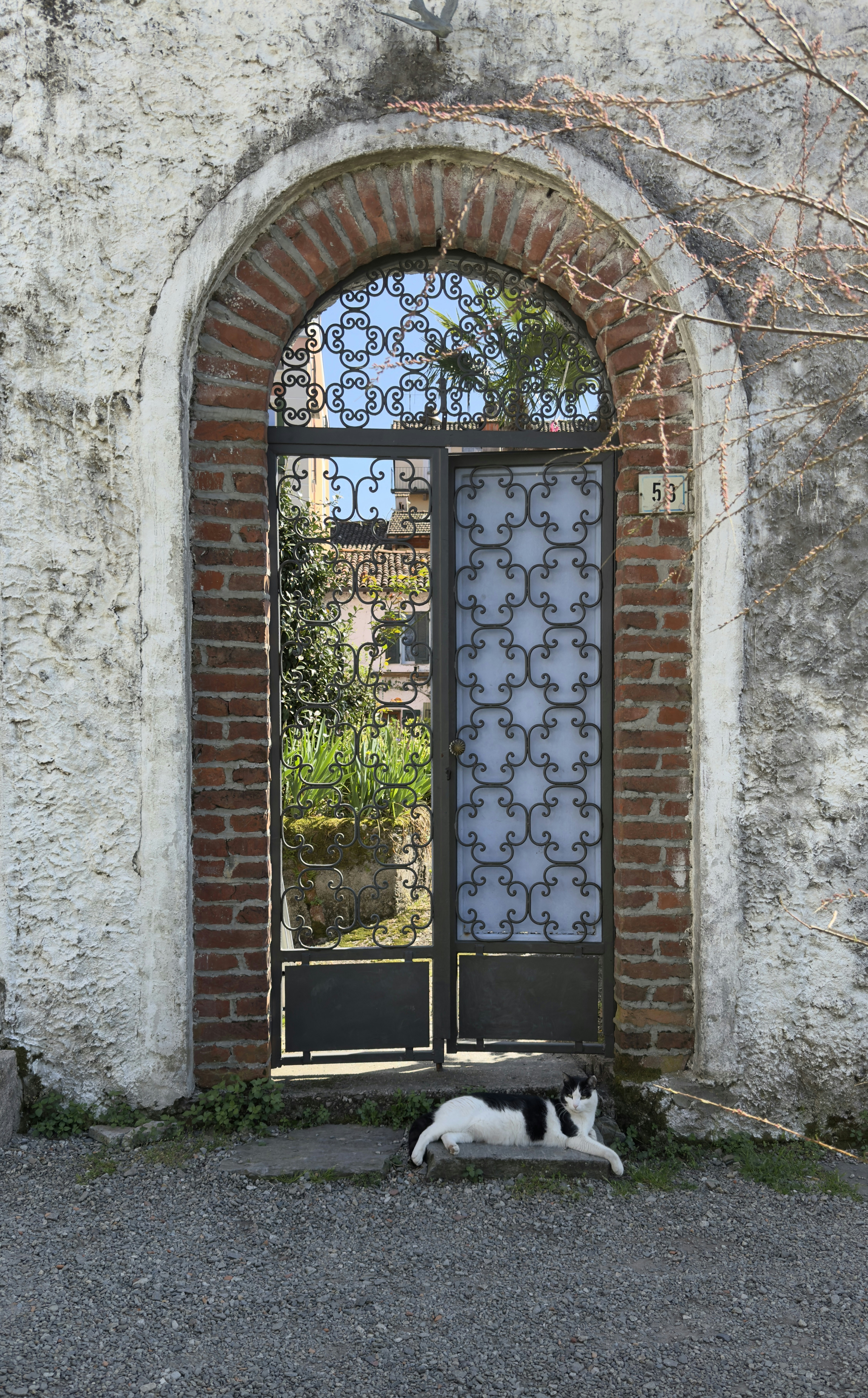 Whiskered Sentinel Beneath a Brick Arch Gate
