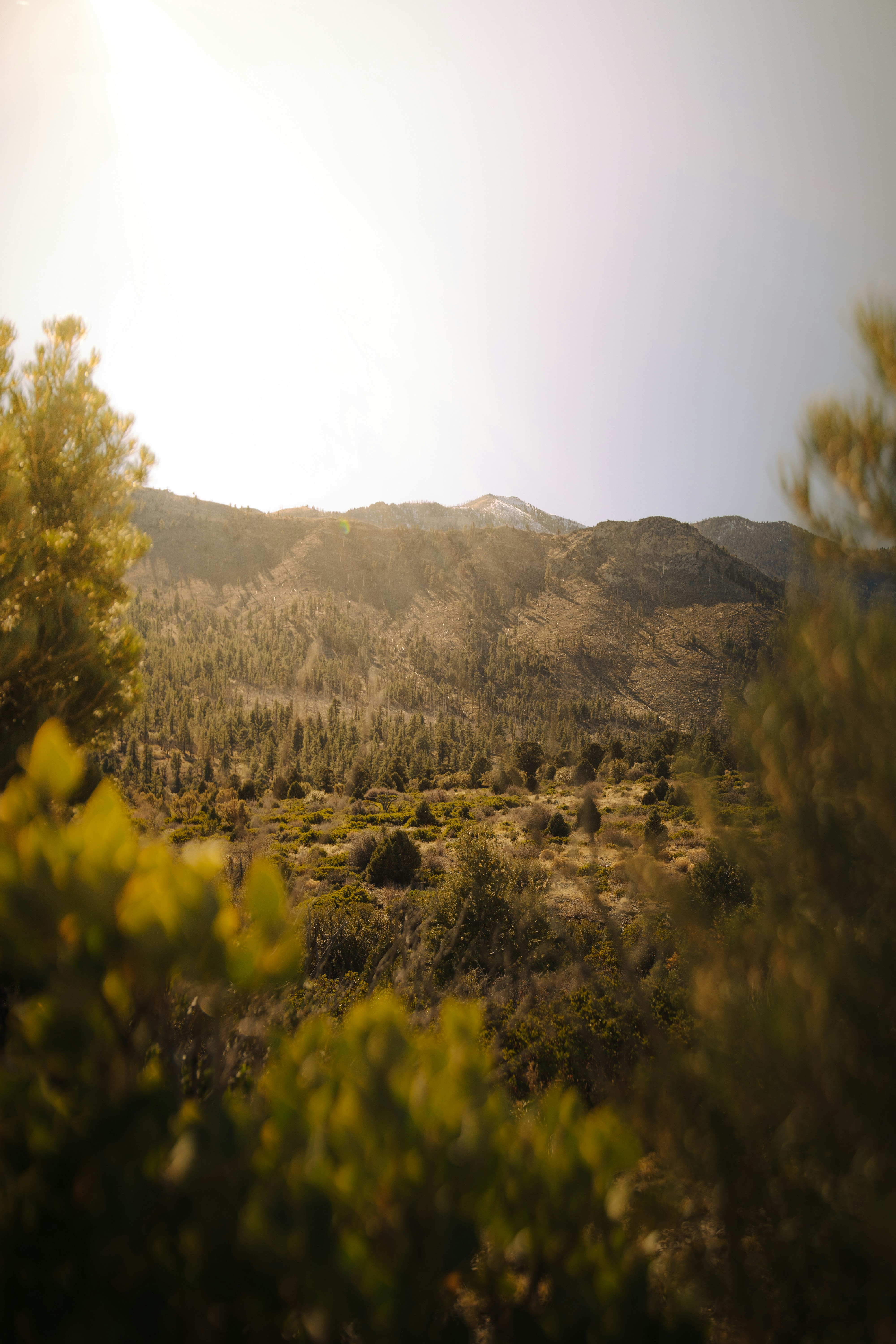 Jonathan Ikemura (@ikemura) | Communauté photos Unsplash