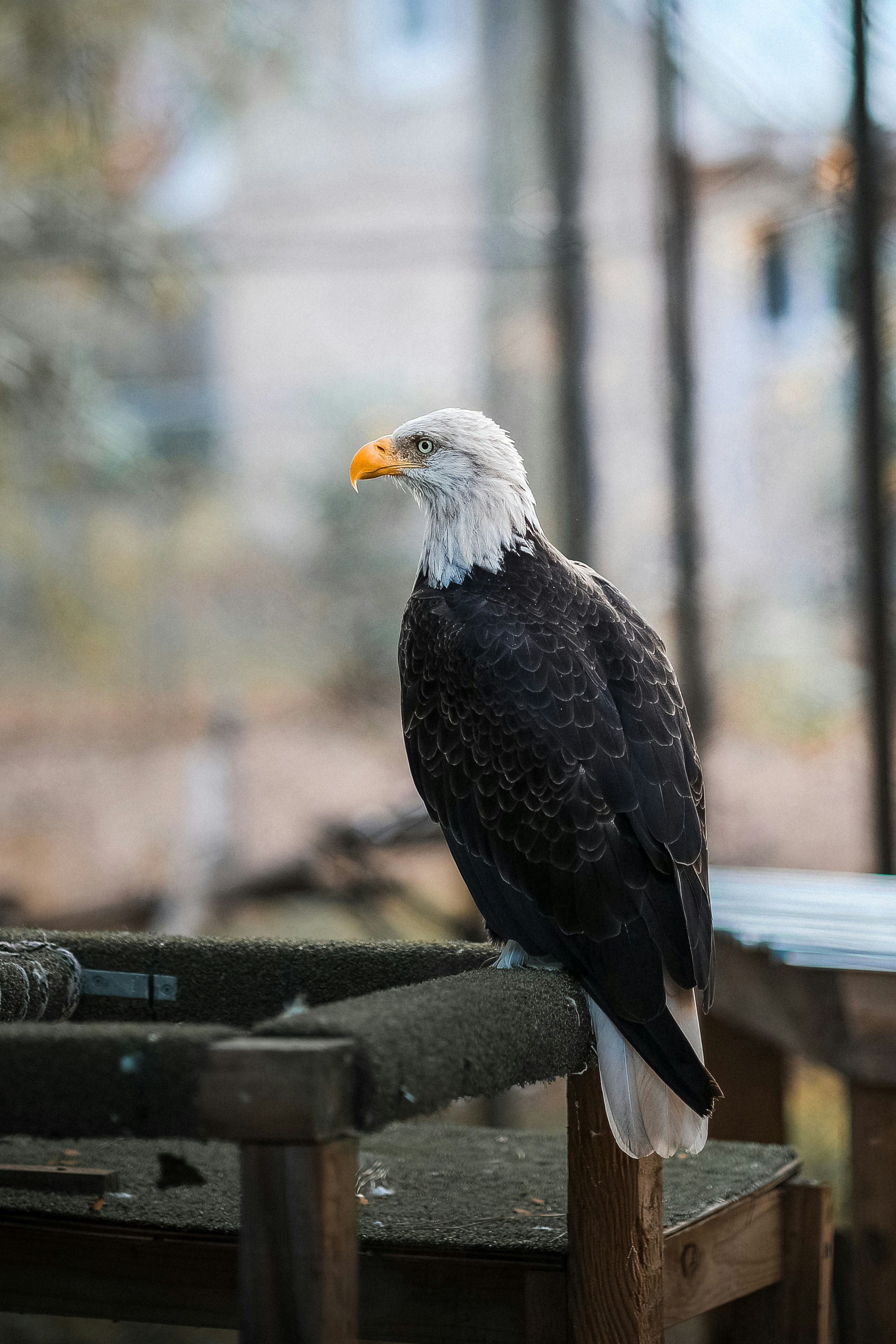 Photo by Vikram Singh with Canon EOS 5D Mark IV