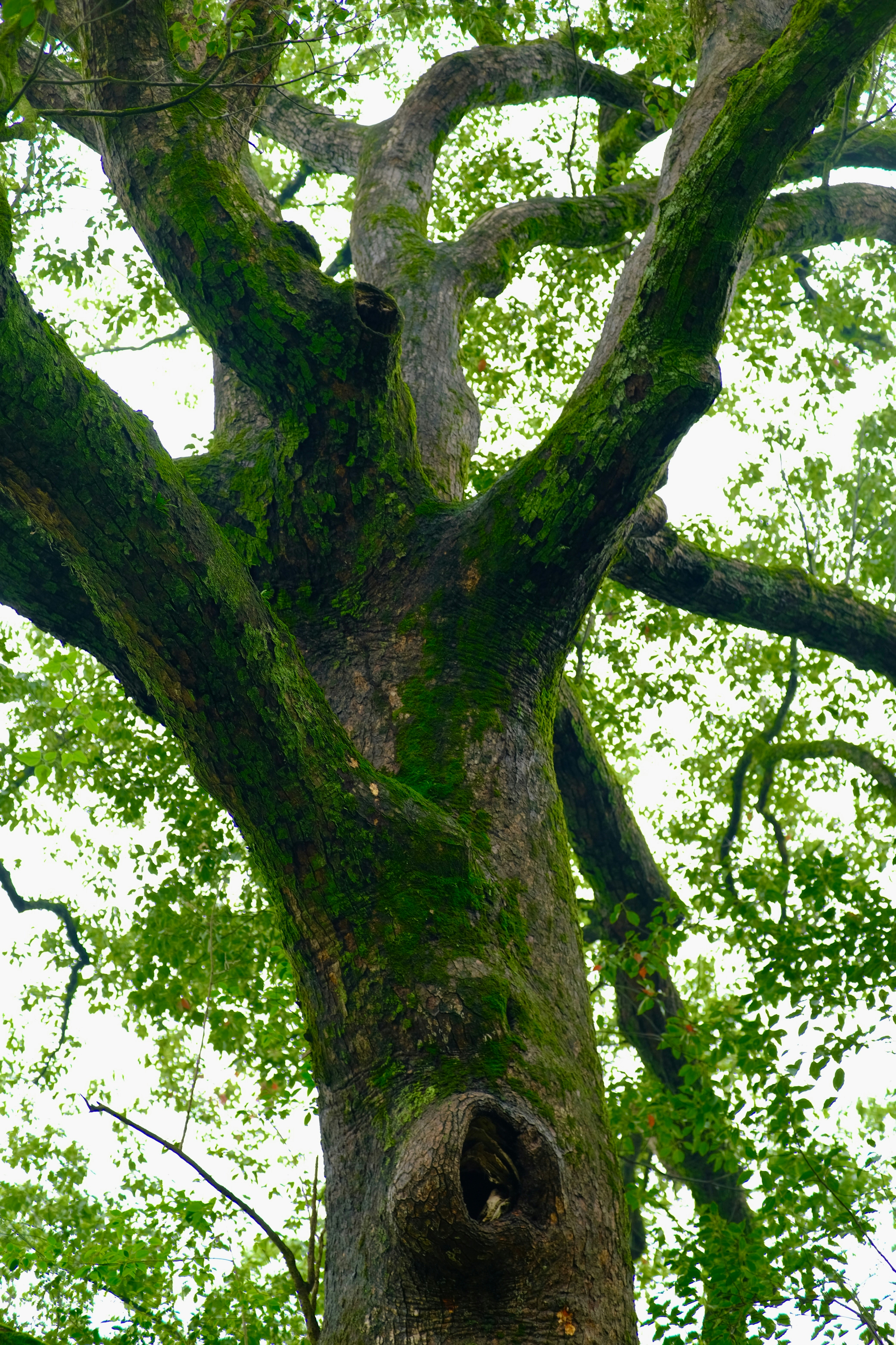 Photo by Alex He with Fujifilm X-T30 II