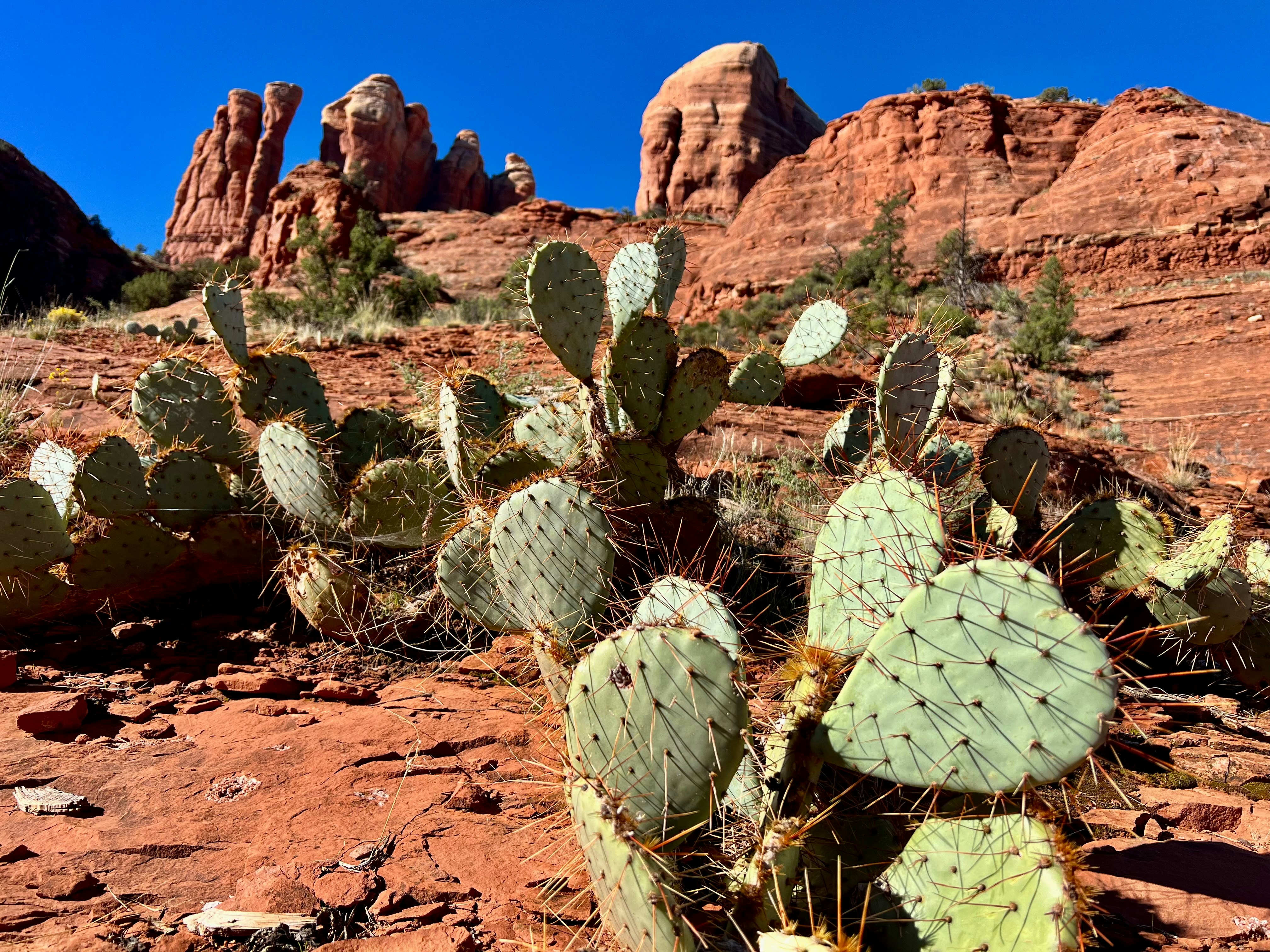 Photo by Norm Mast with Apple iPhone 13 Pro Max