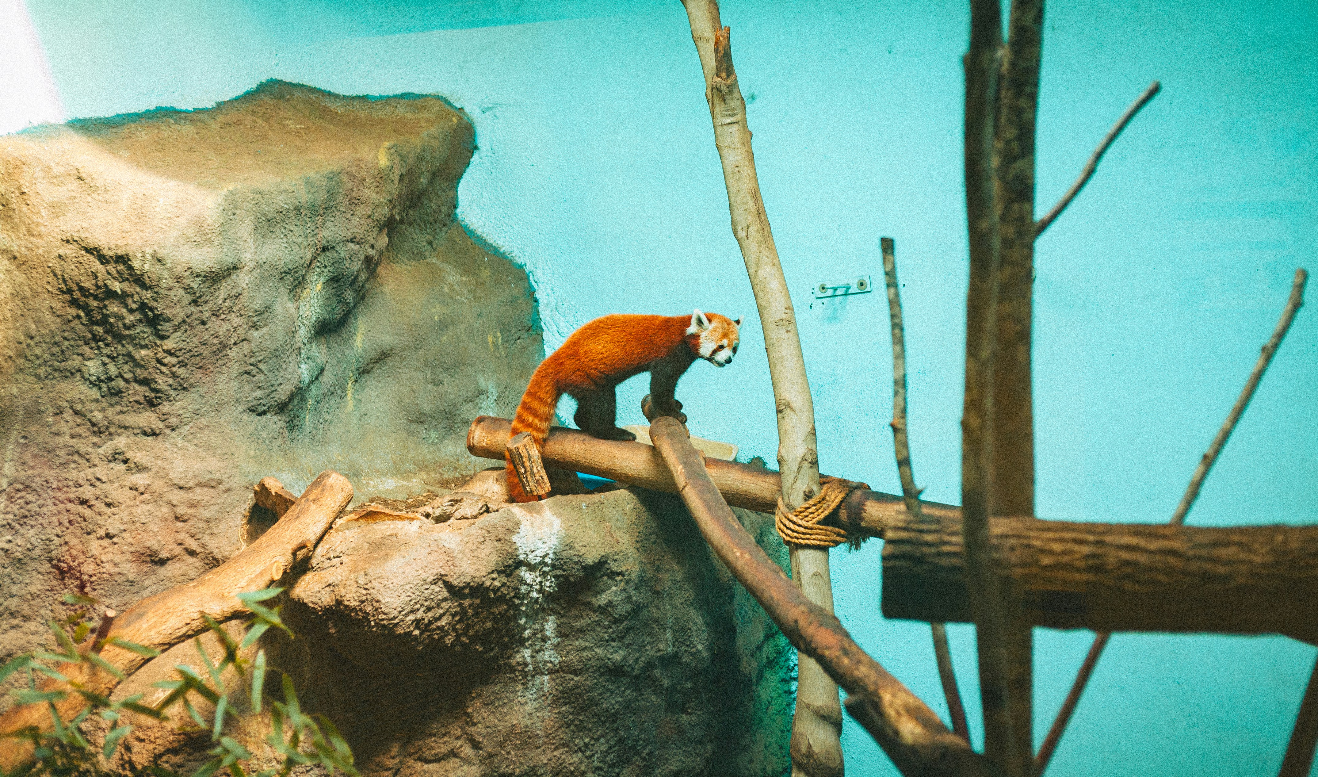 Photo by Anthony Roberts with CANON EOS 5D