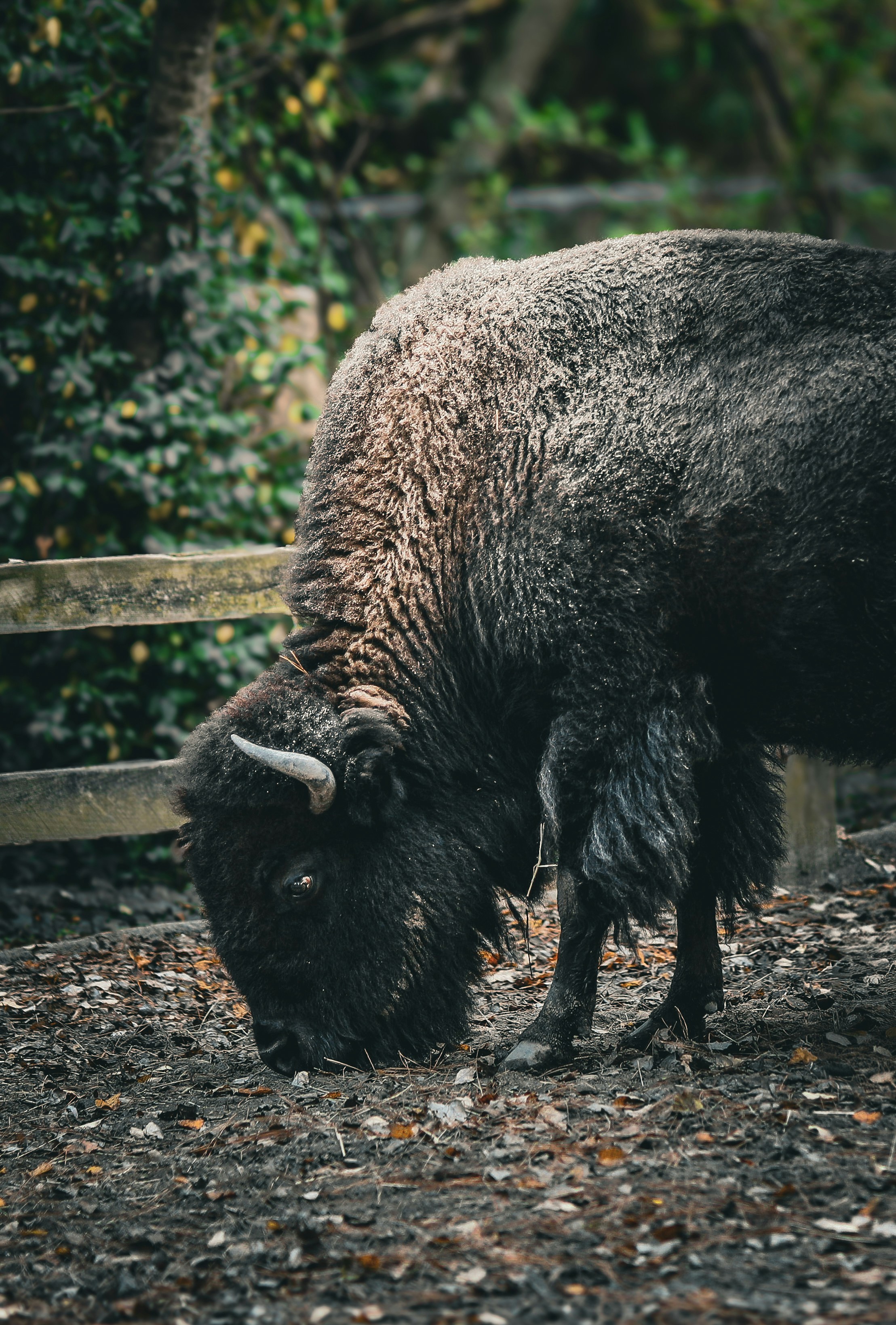 Photo by Vikram Singh with Canon EOS 5D Mark IV