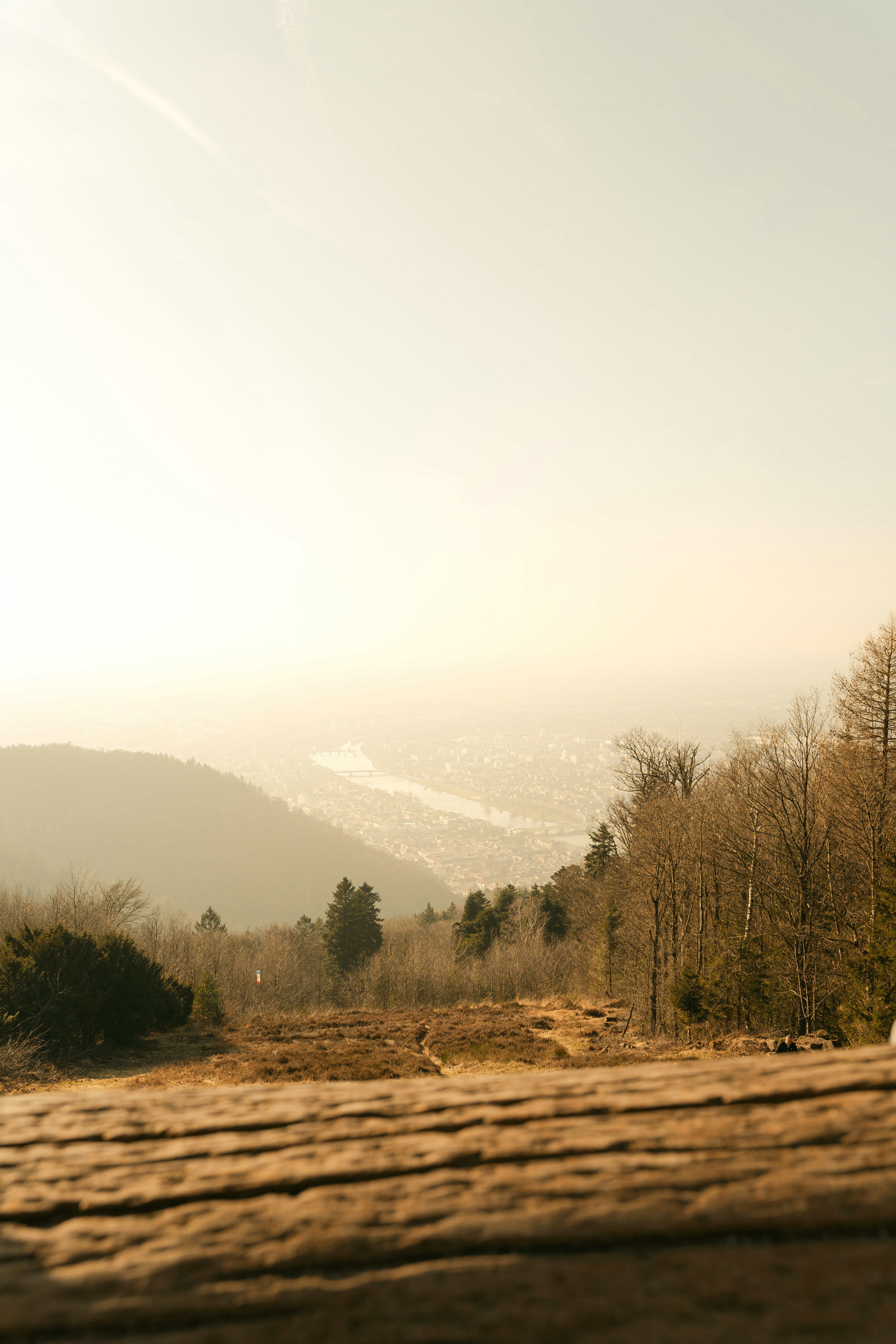 Photo by Eduard Pretsi with Sony Alpha 7 IV