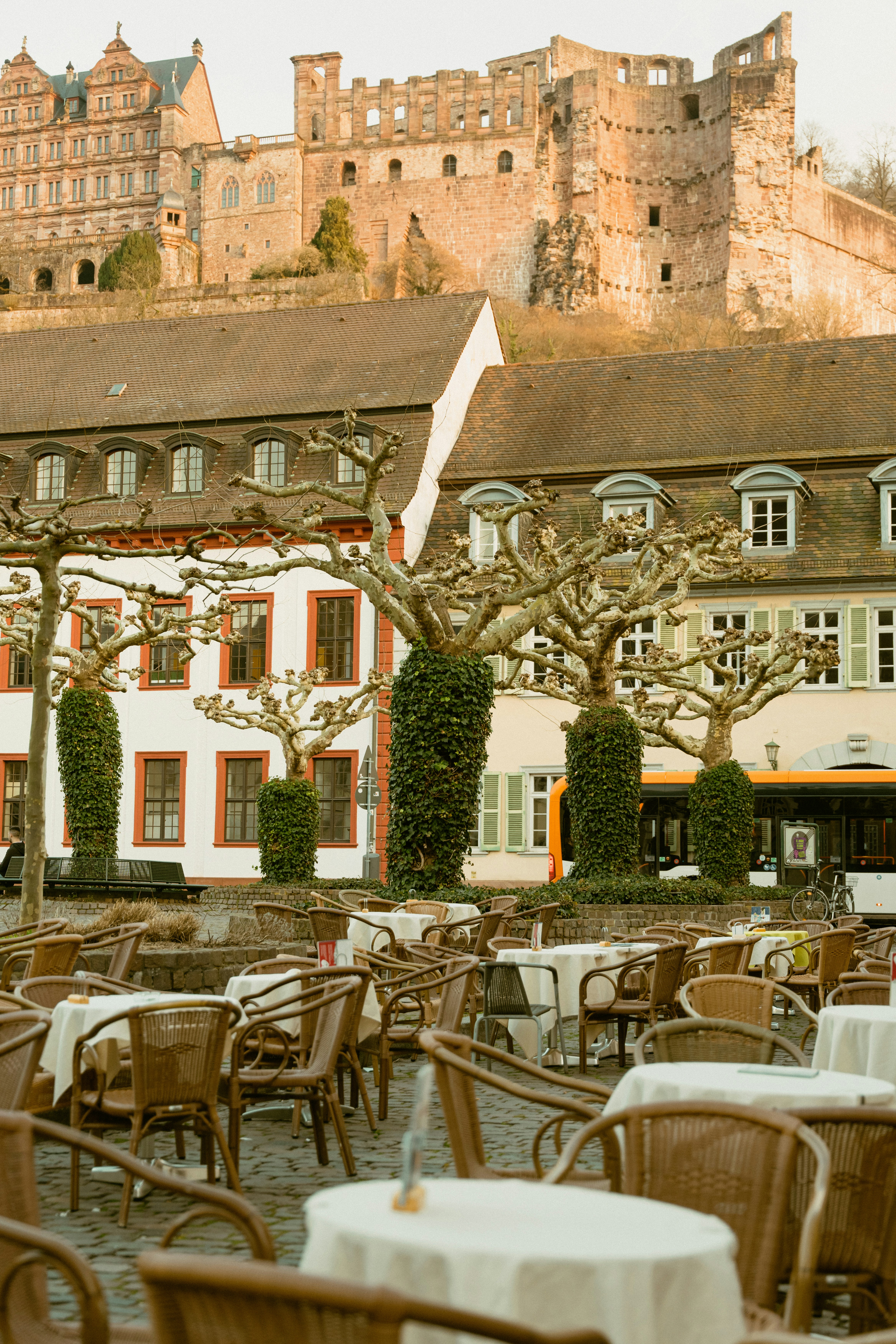 Sunlit Courtyard Café Framed by Pruned Trees and a Castle Ruin