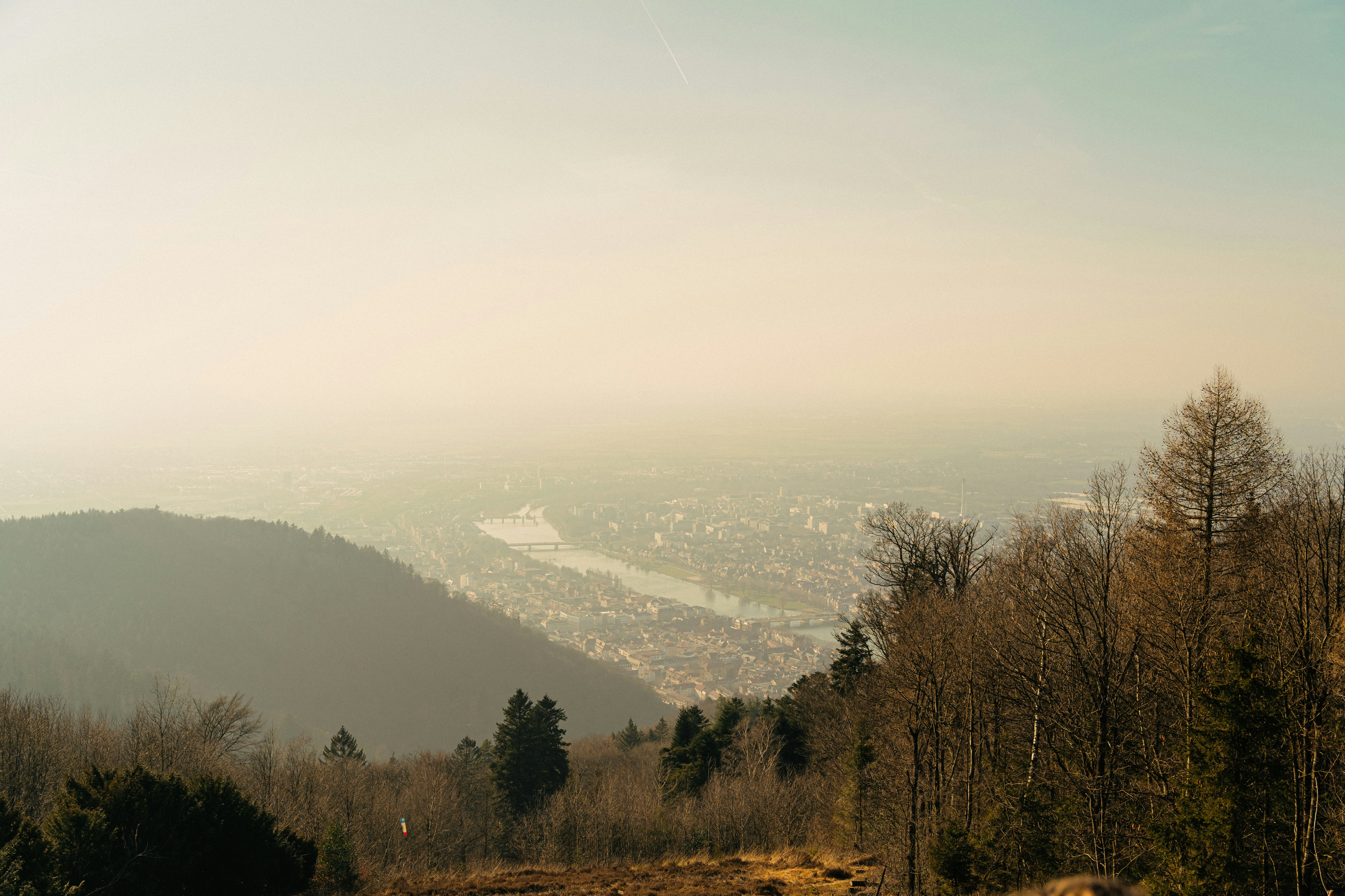 Photo by Eduard Pretsi with Sony Alpha 7 IV