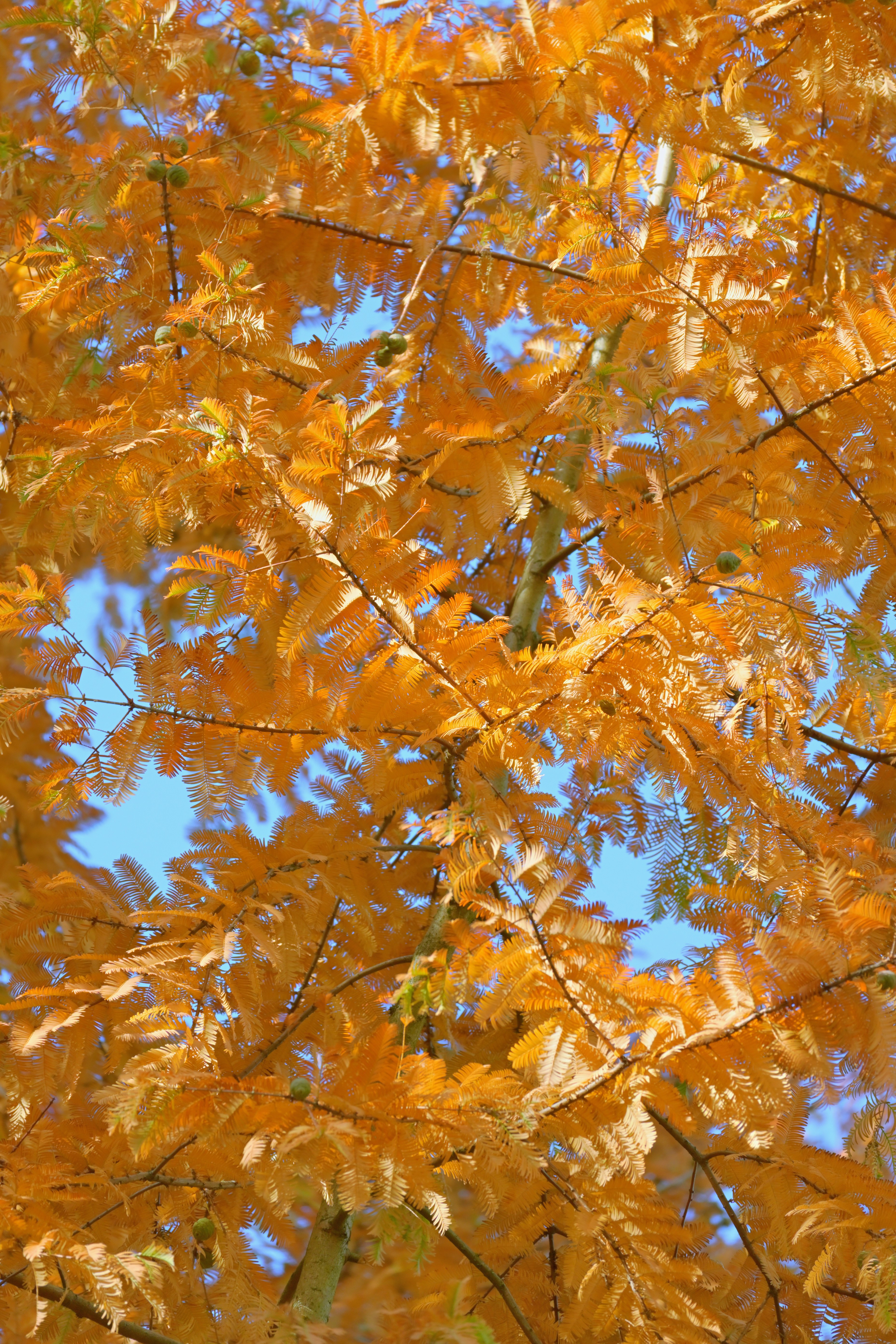 Fleeting Glow (@fleeting_glow) | Komunitas Foto Unsplash