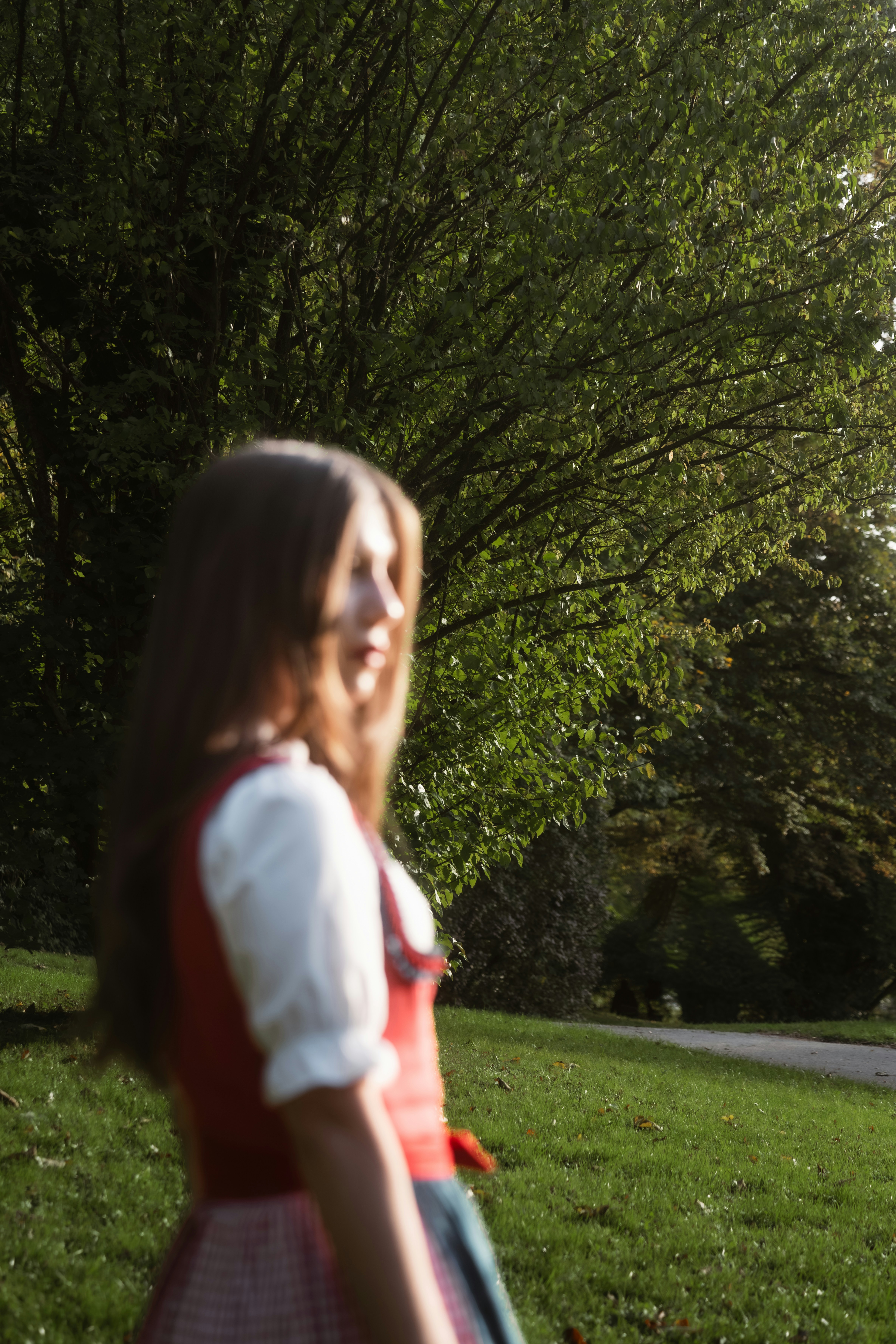 Dreamy Stroll in Traditional Dress