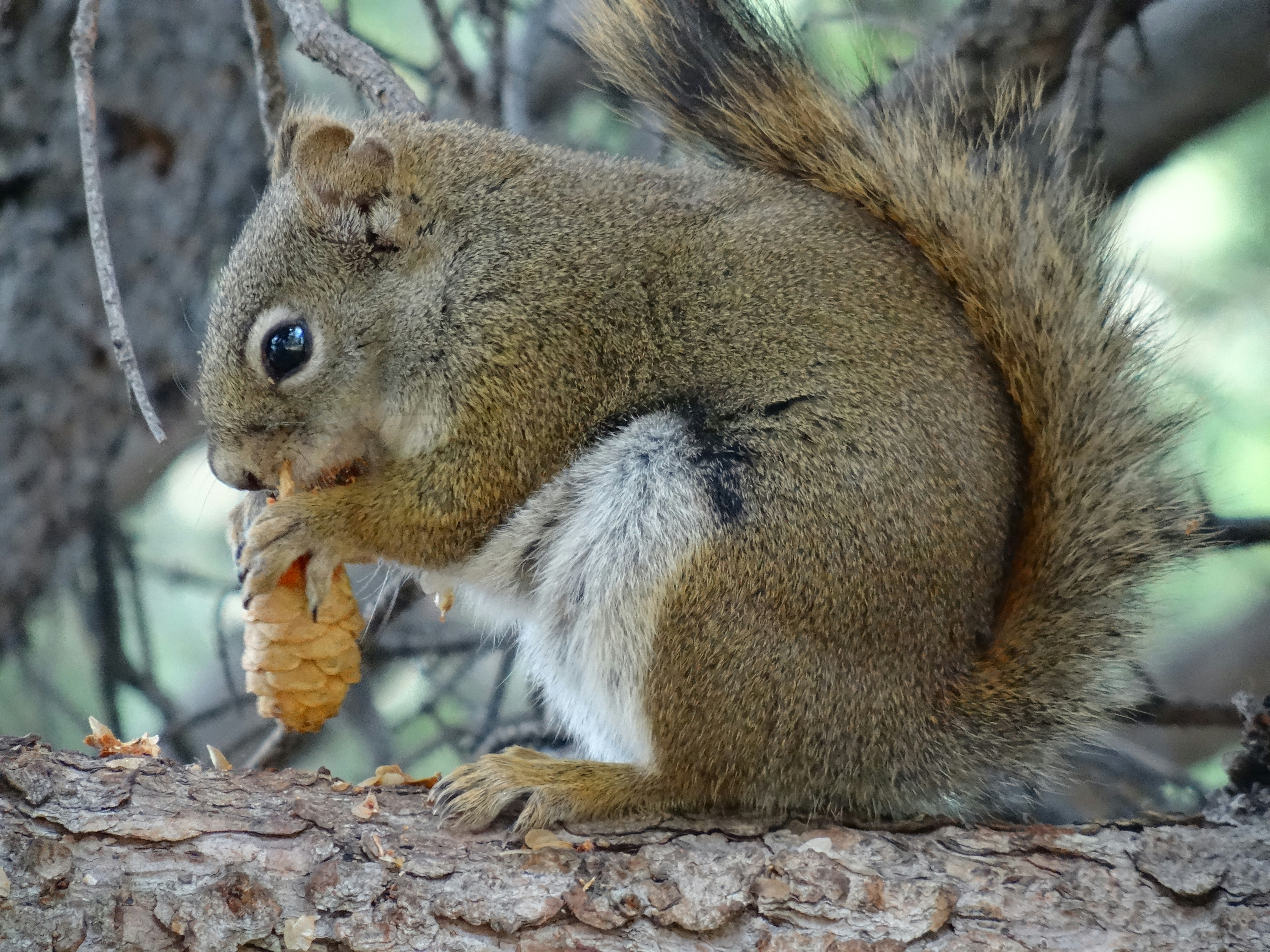 Photo by Reza Amiri with Sony Cyber-shot HX50V