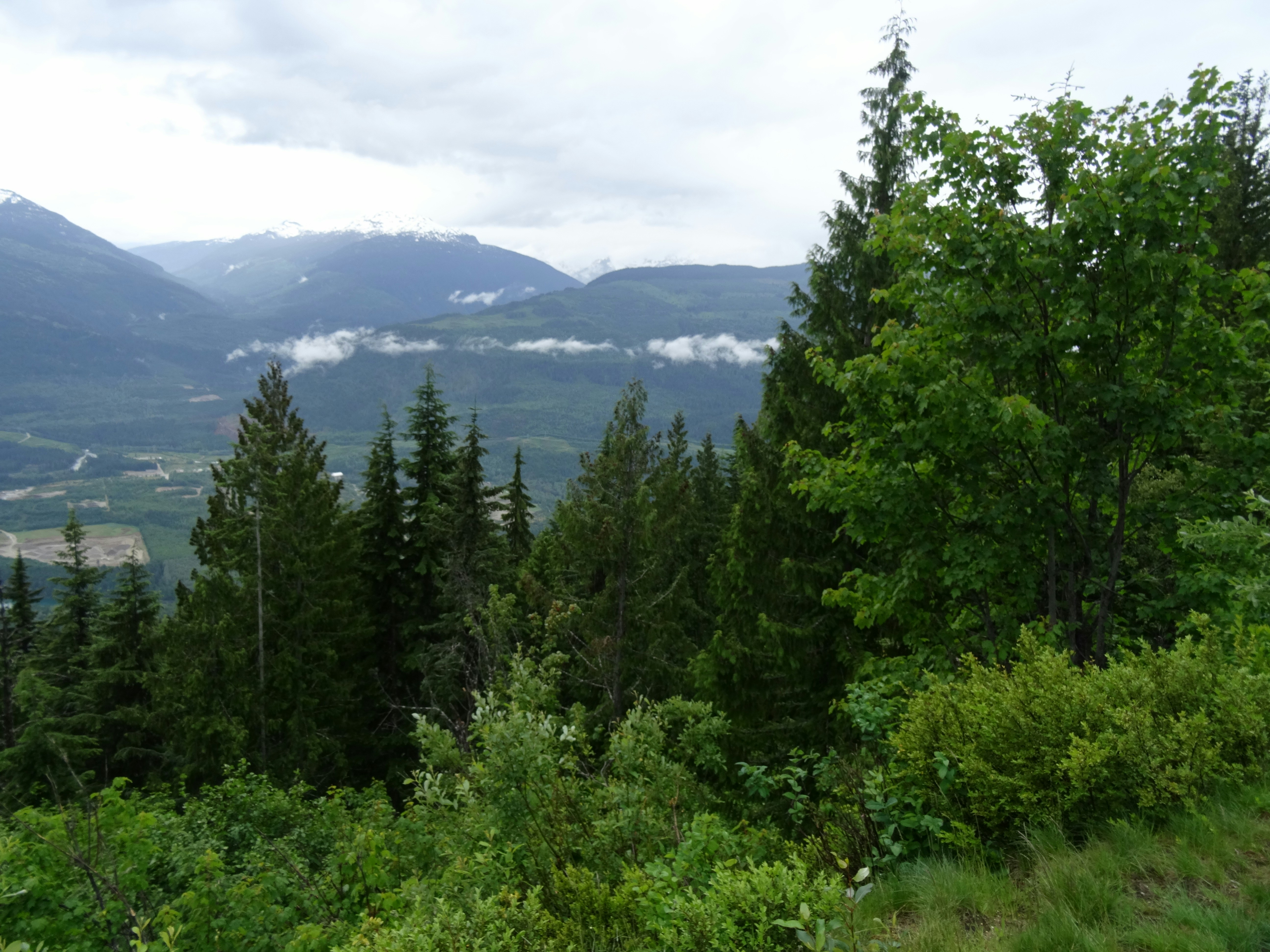 Photo by Reza Amiri with Sony Cyber-shot HX50V