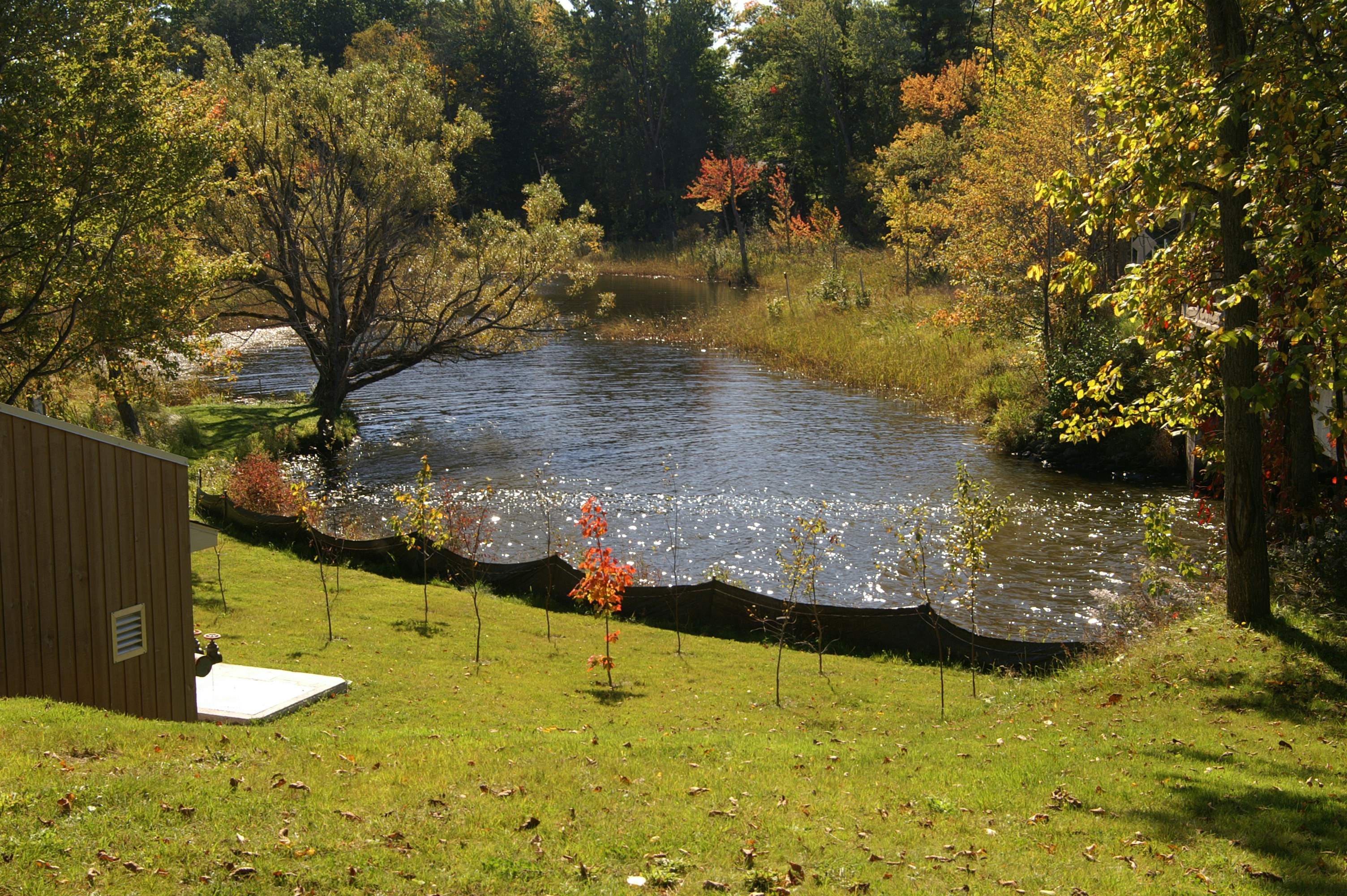 Photo by Reza Amiri with Konica Minolta Maxxum 7D