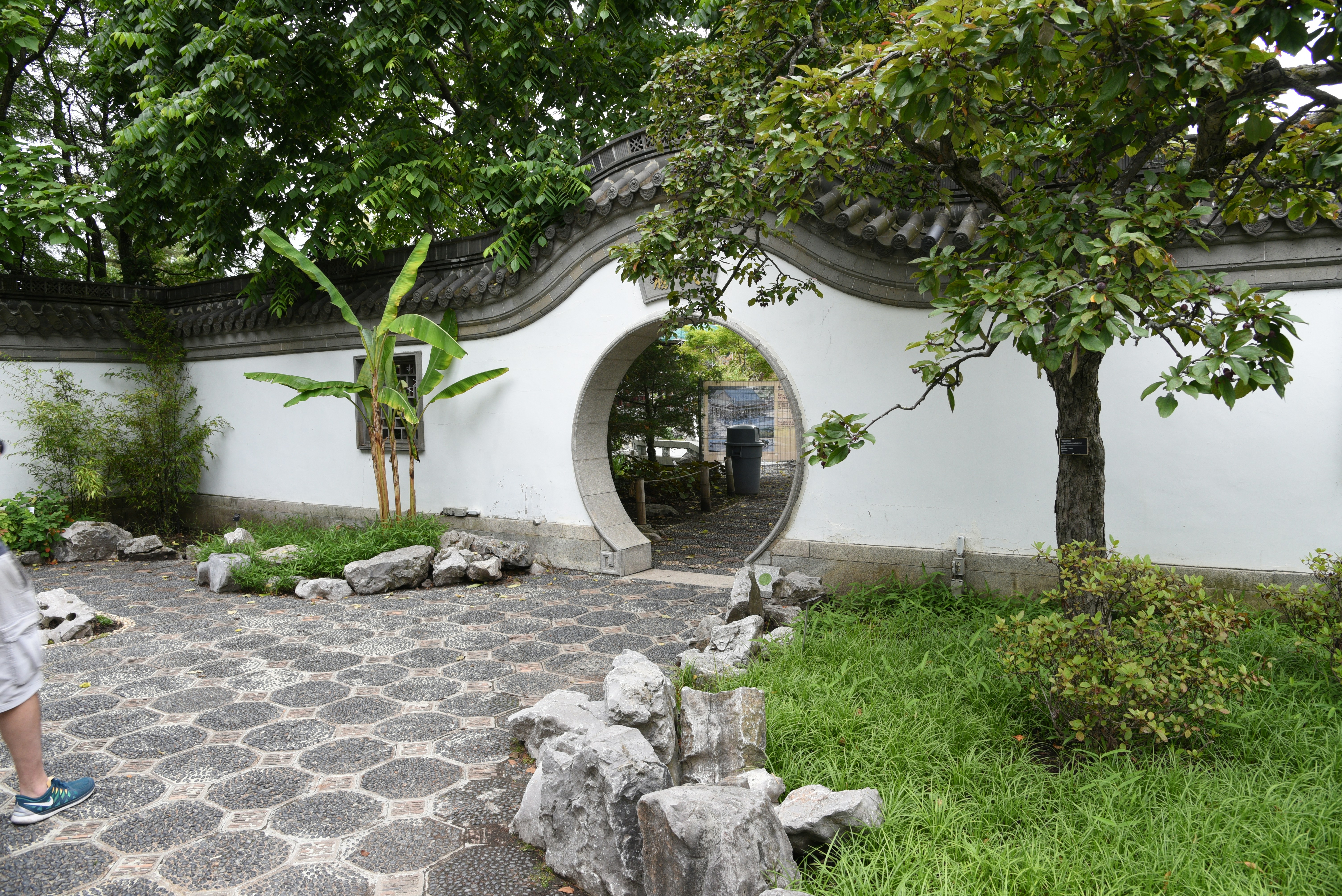 Through the Moon Gate: A Quiet Courtyard Path Framed by Stone and Trees