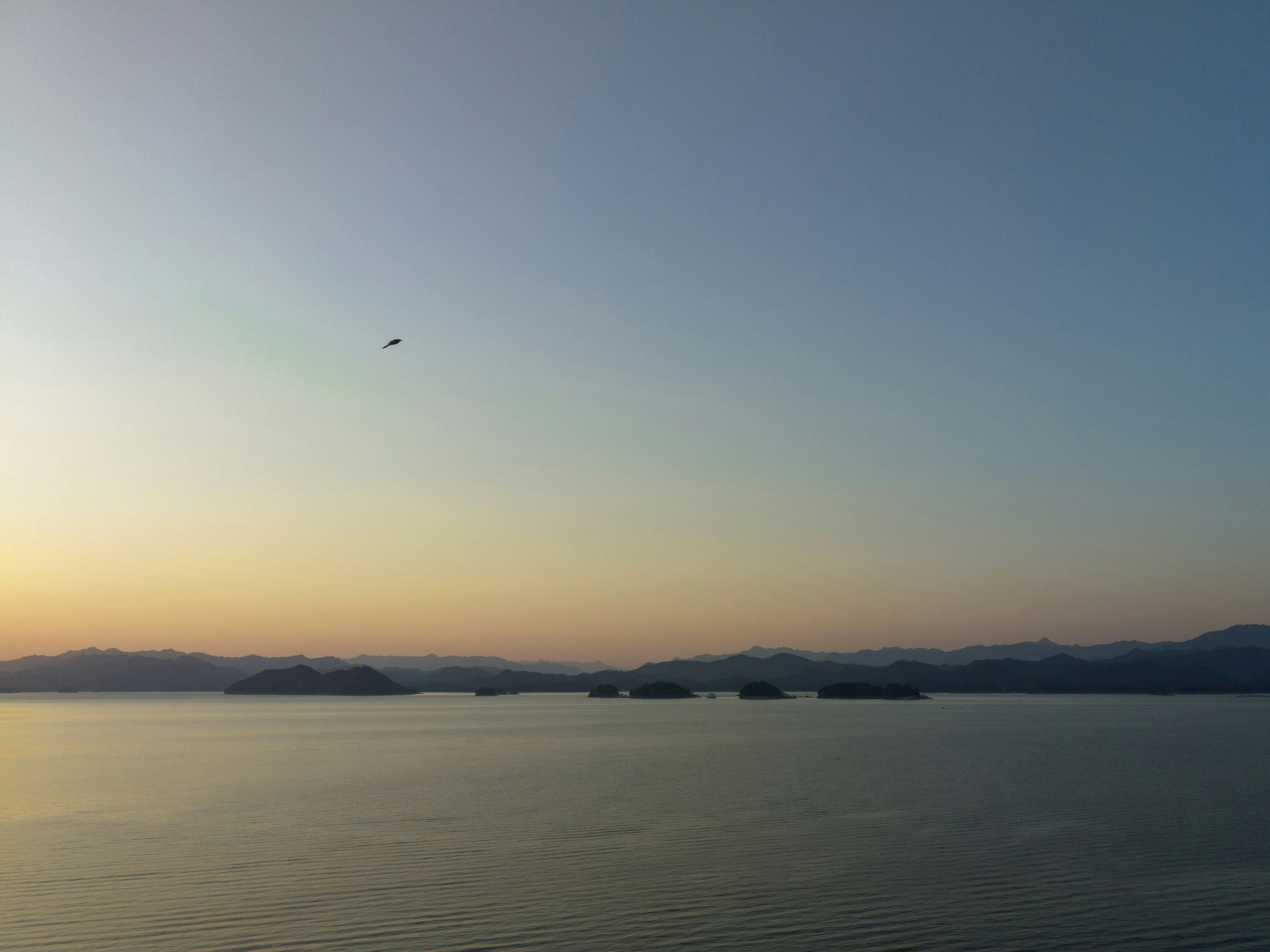 Edward Ji (@edwardji) | Comunidade de fotos da Unsplash