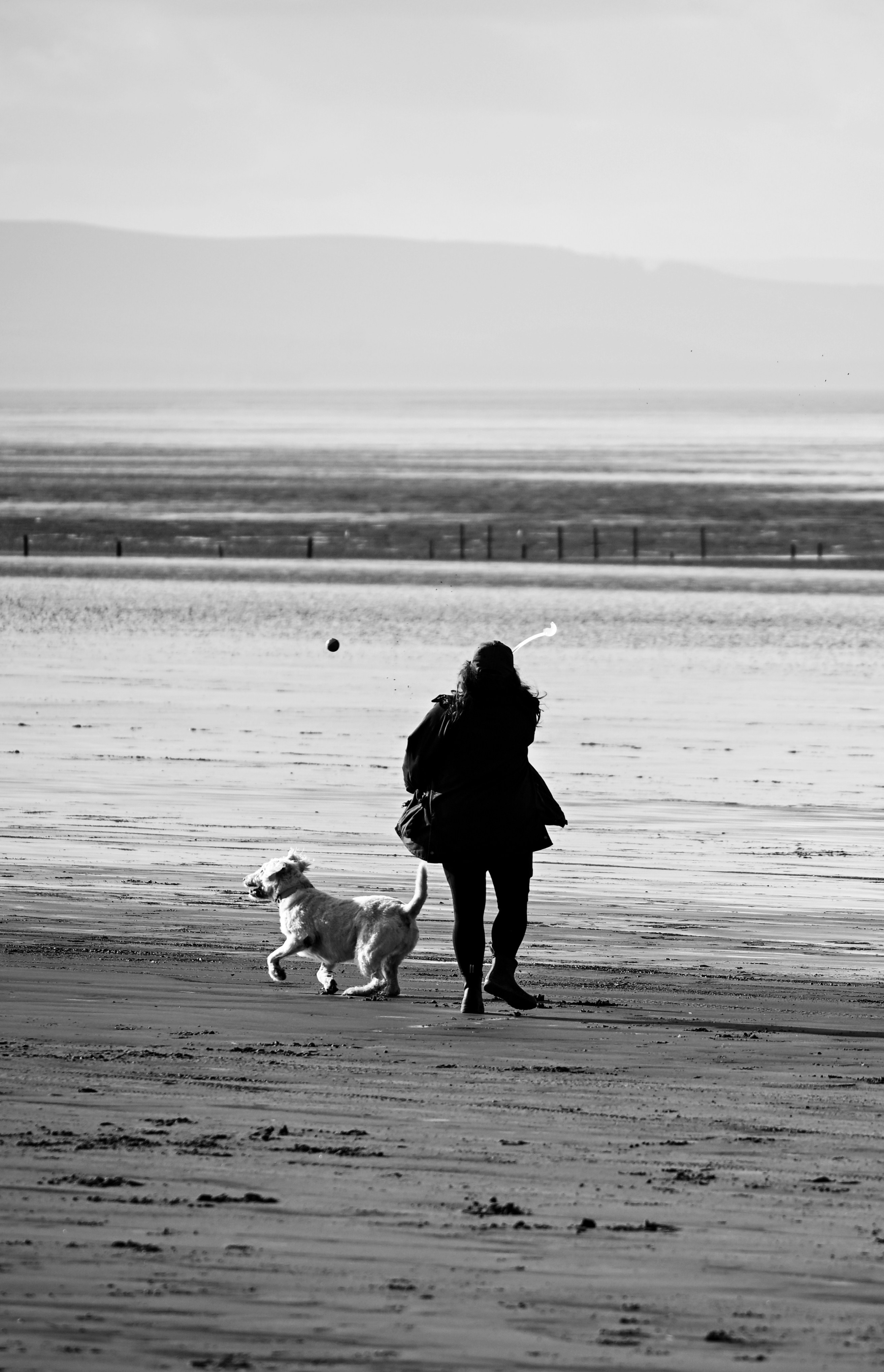 Shoreline Silhouette: A Woman and Her Dog on a Quiet Beach