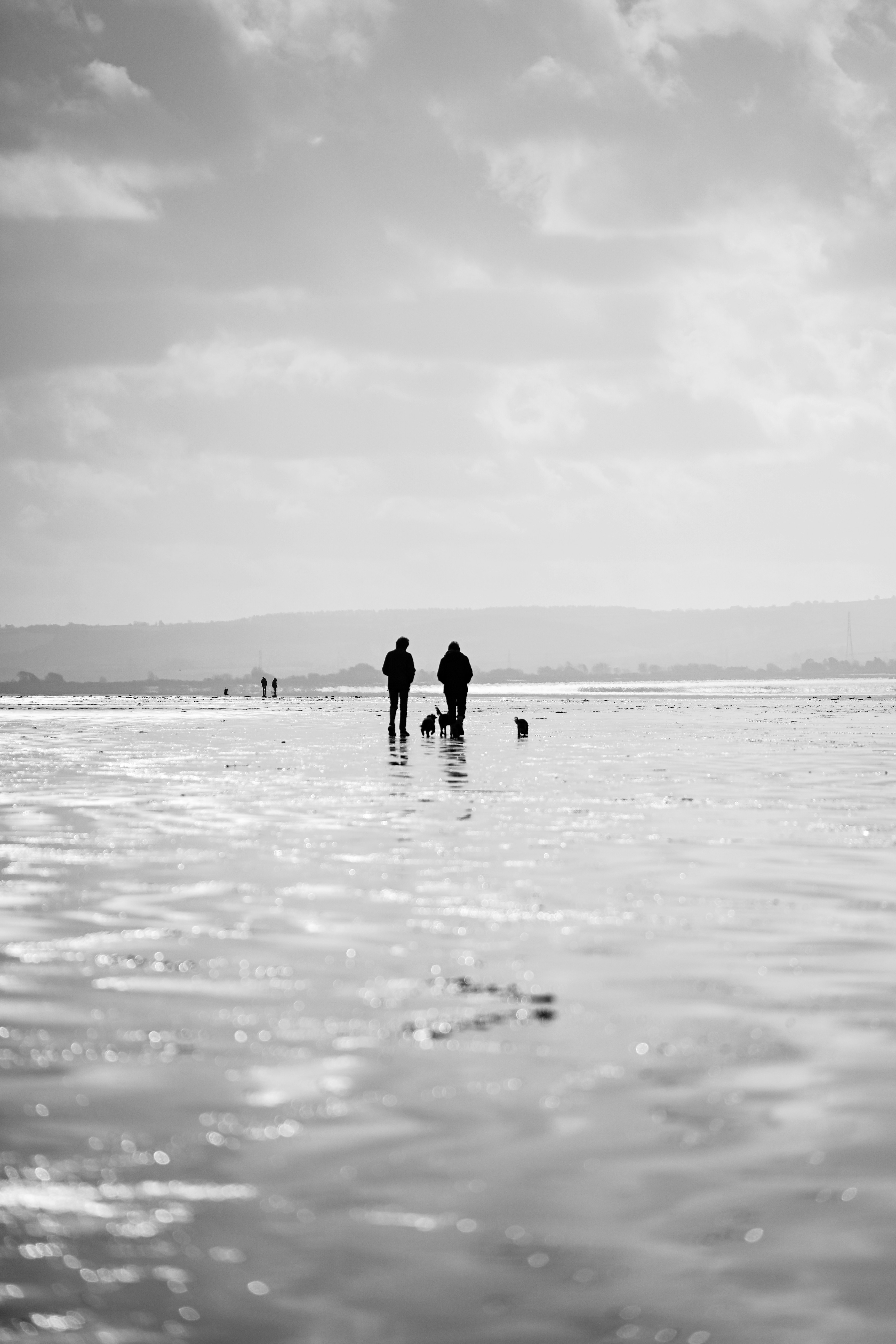 Gray Tides: Walkers and a Dog Across Reflective Flats