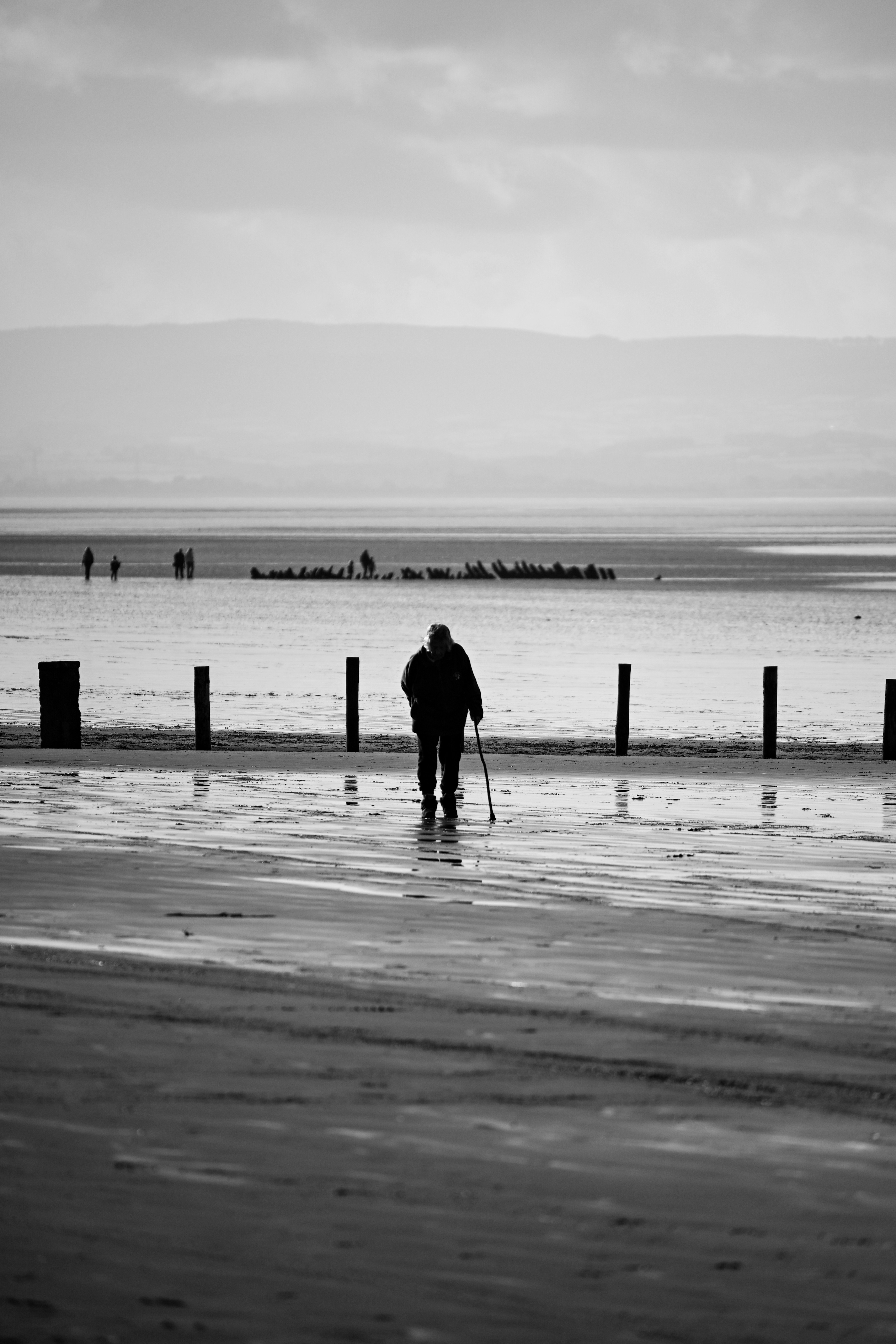 Shoreline Silhouette: A Quiet Walk Between Posts