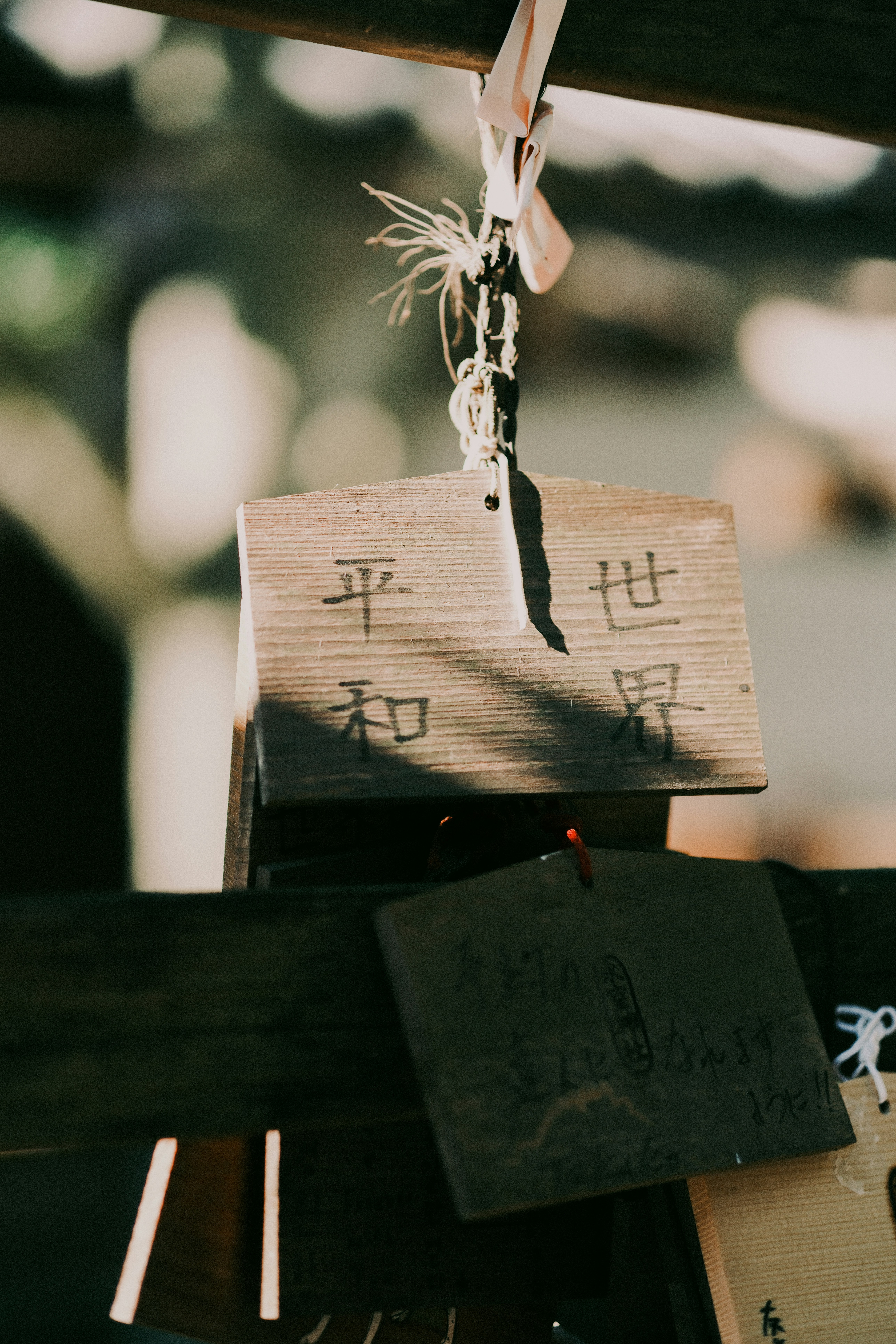 Whispers on Wood: A Shrine Ema Plaque in Dappled Light