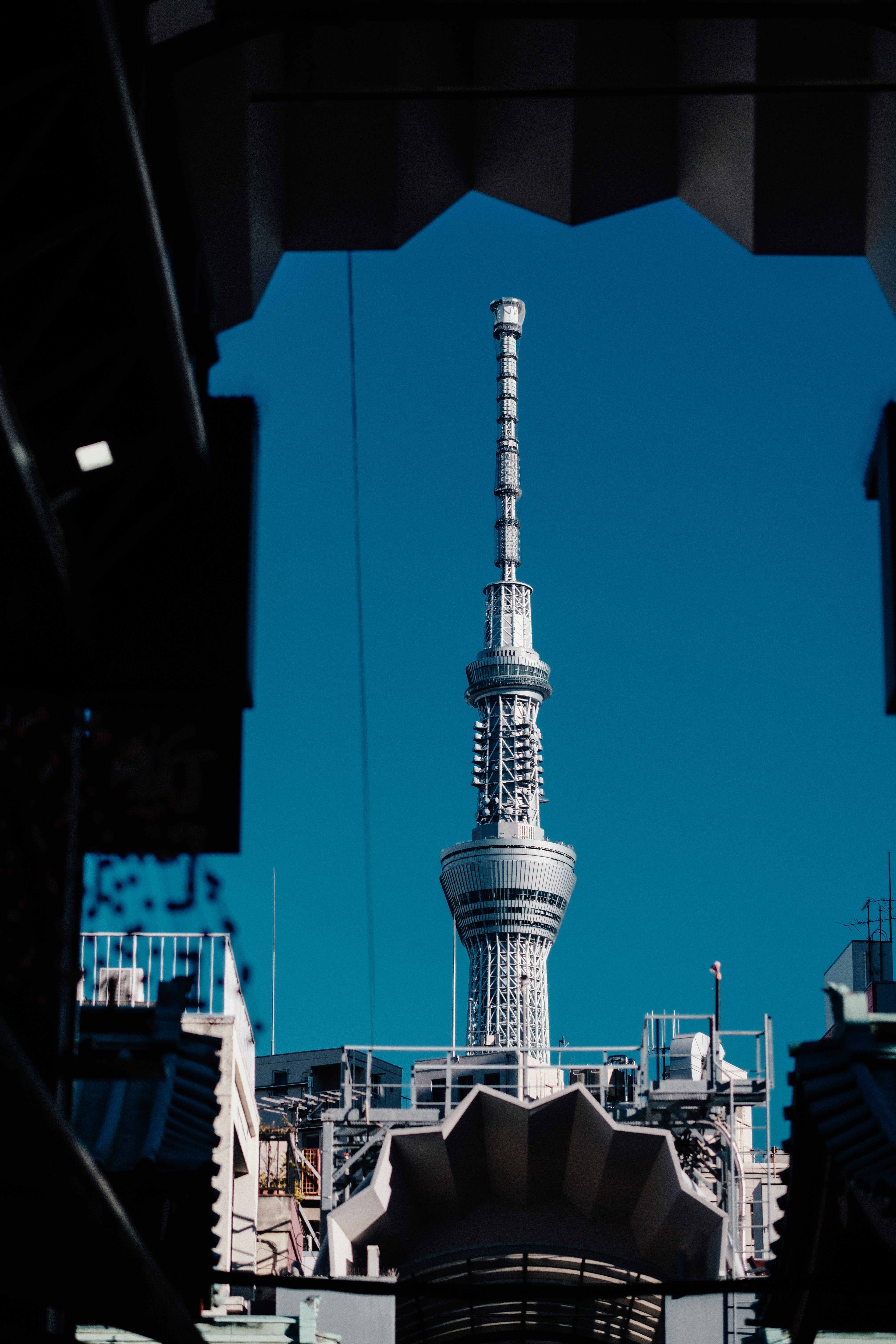 Photo by Will Xiang with Fujifilm X-T5