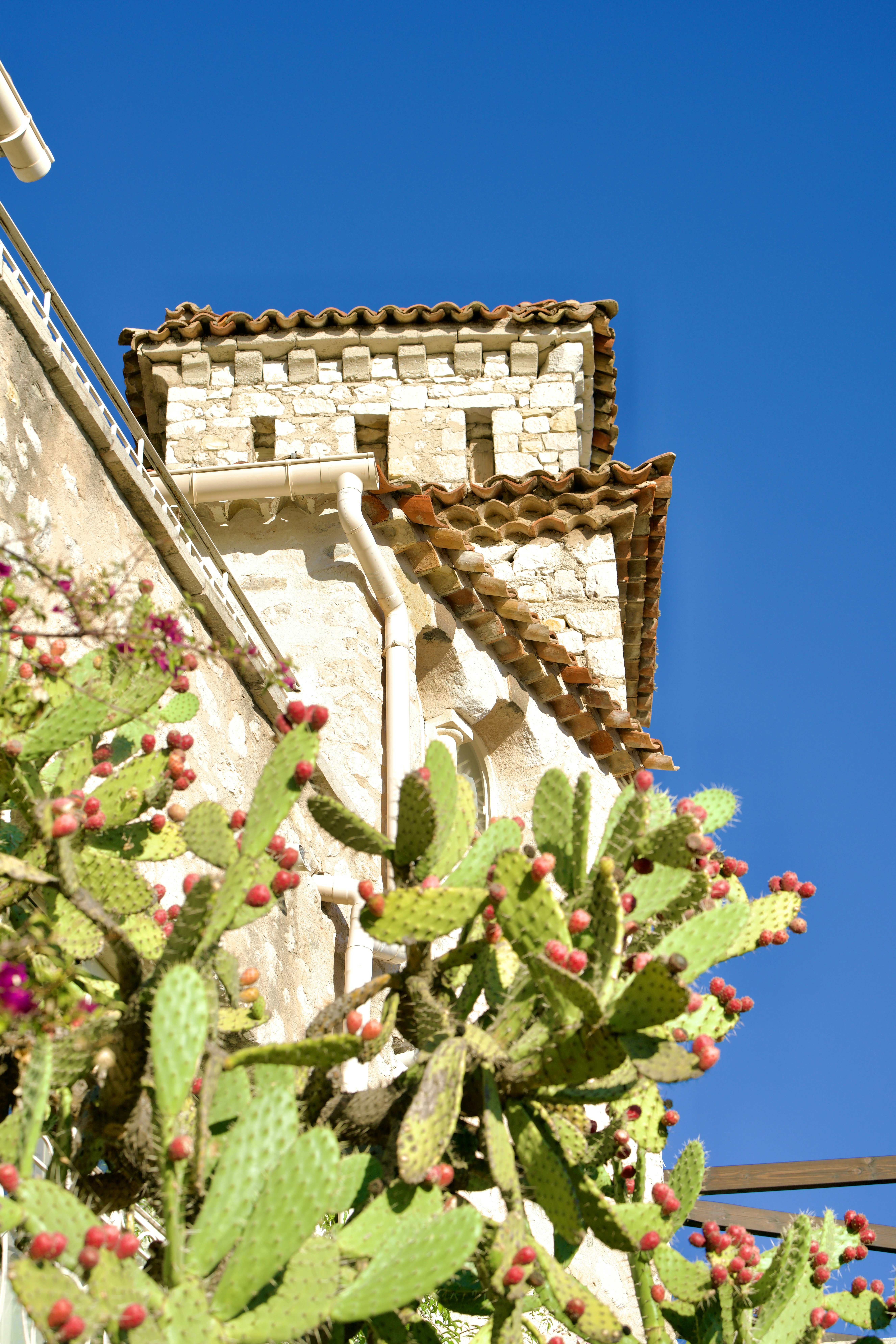 Terracotta Rooflines Framing a Prickly Pear Palette under Cerulean Sky