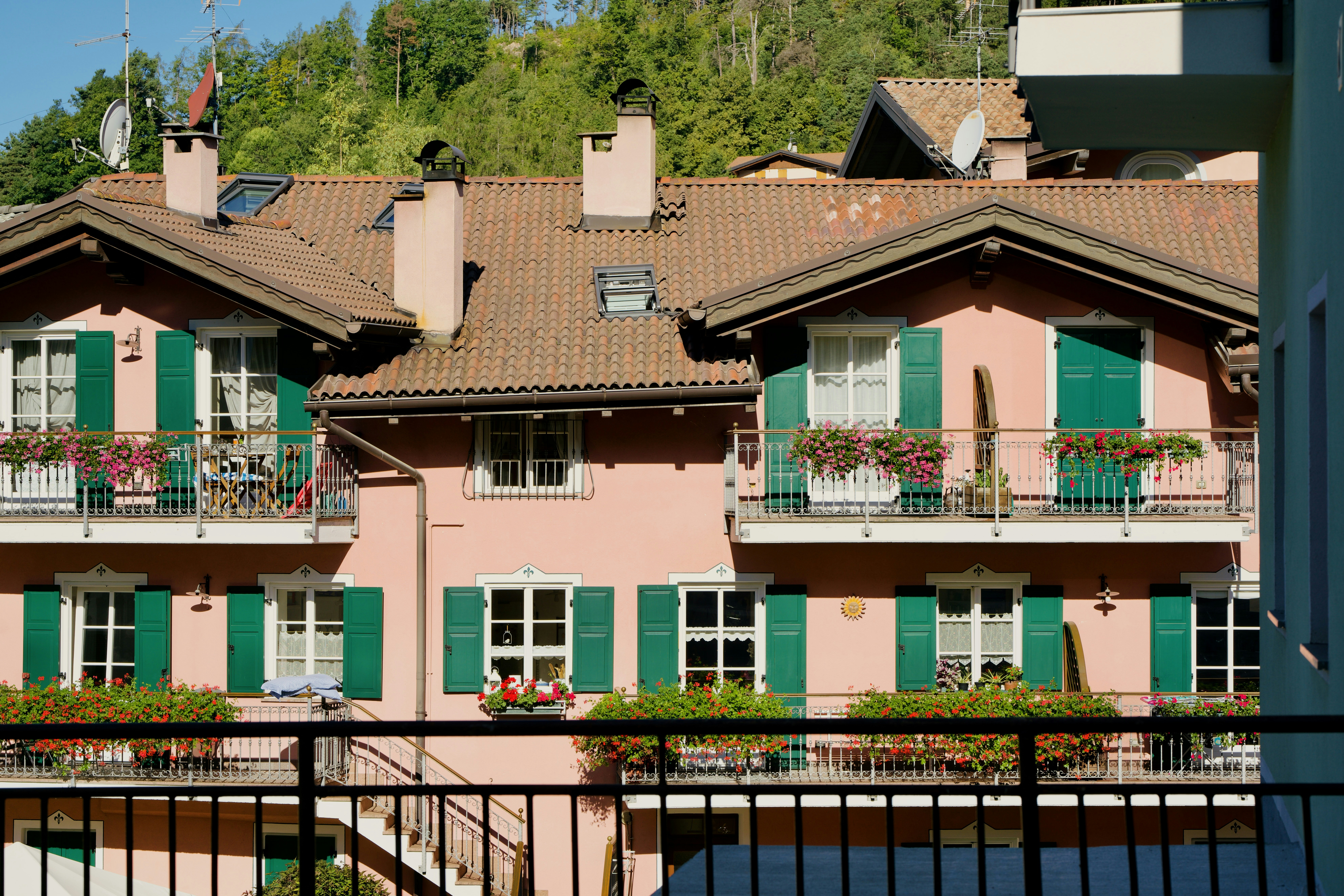 Pastel Facade Serenade: Green Shutters and Blooms in Bright Daylight