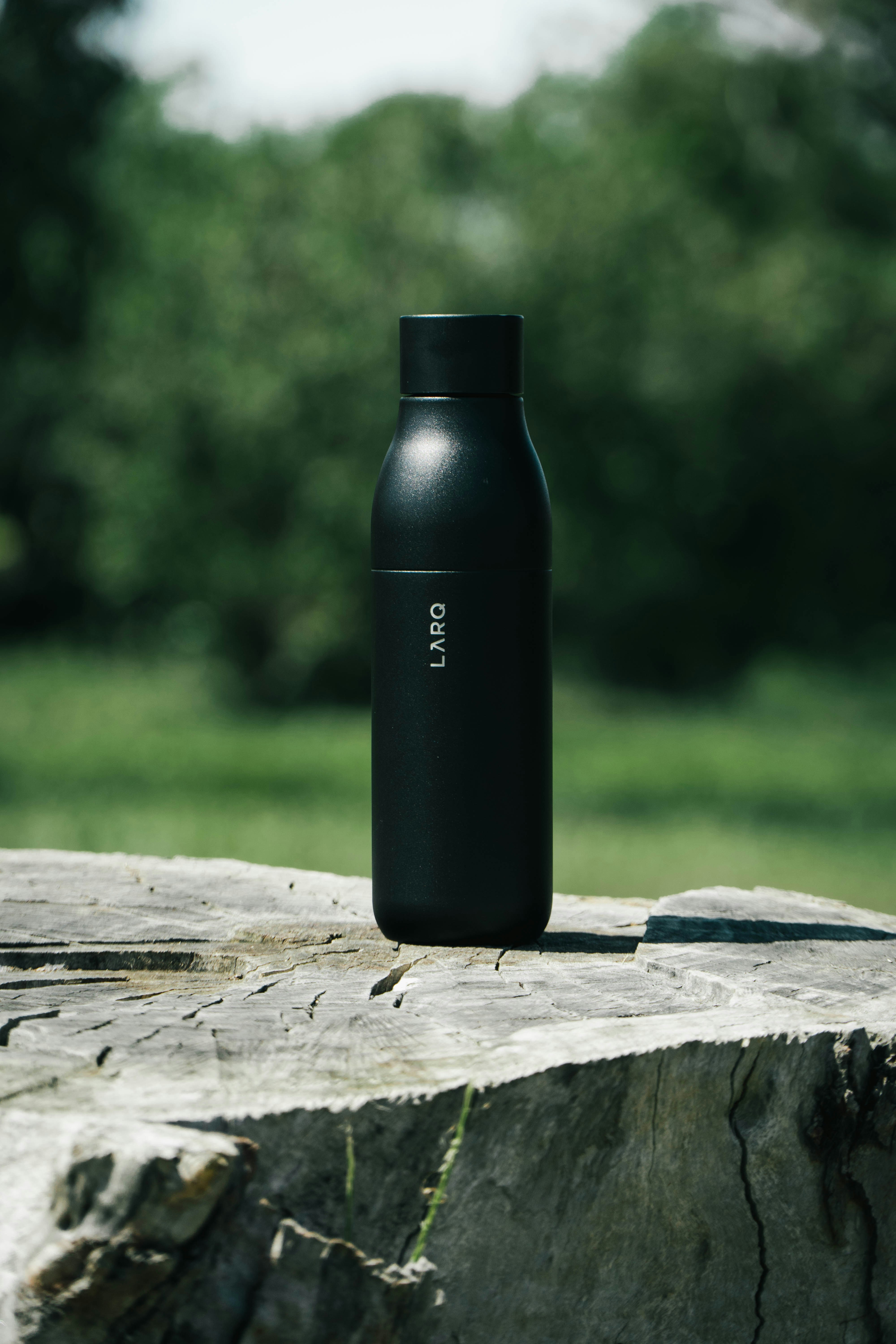LARQ on a Weathered Log: Minimalist Hydration in Sharp Focus