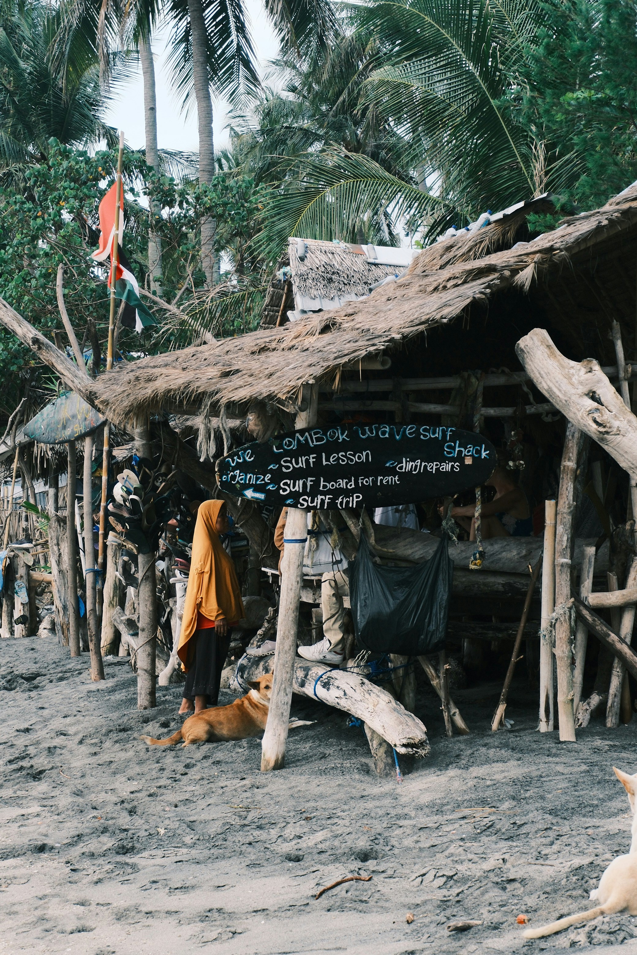 Thatched Surf Shack Amid Palms: Chalkboard Lessons at the Shore