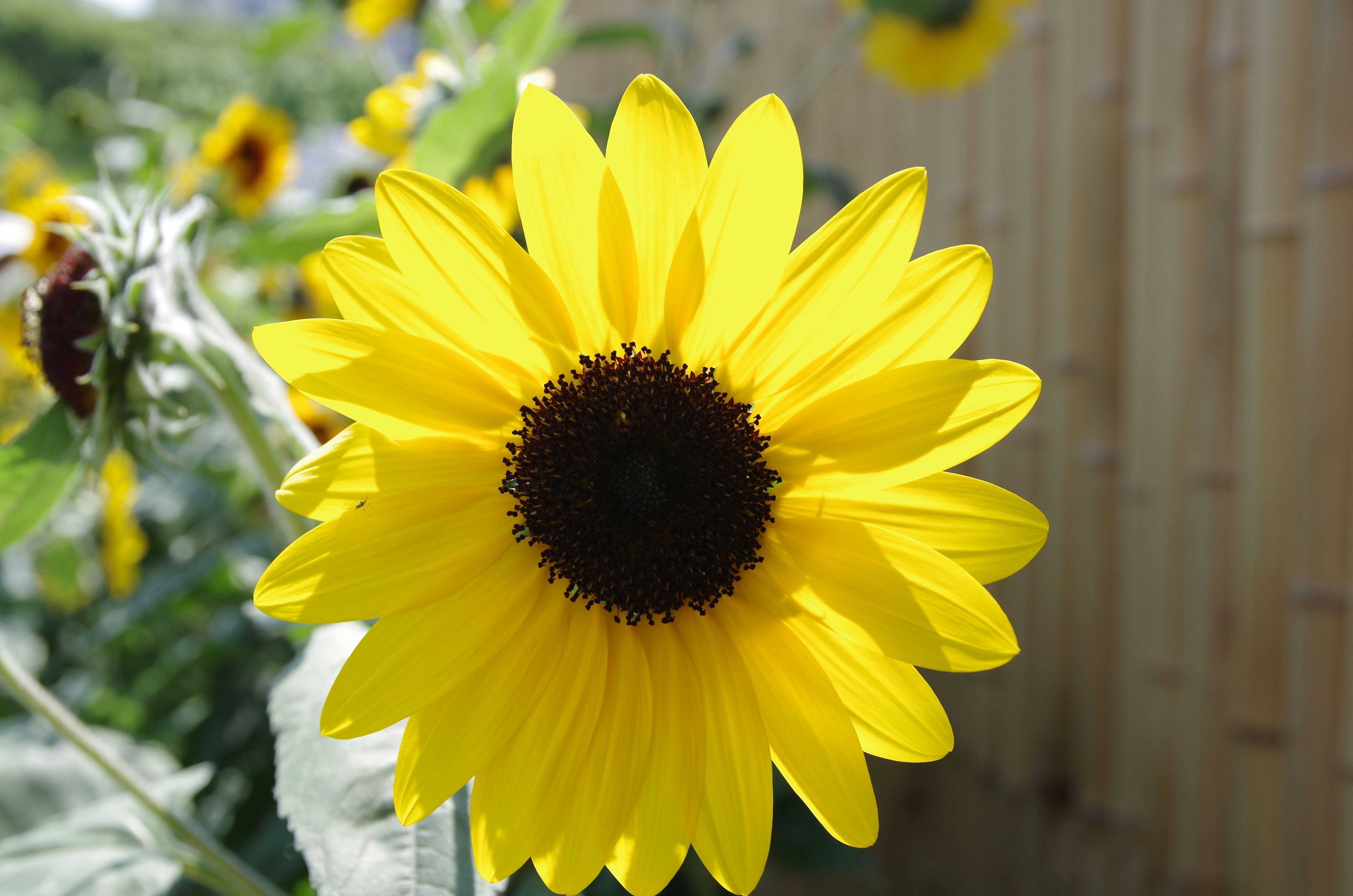 Photo by Ricky Richard with Pentax K-30