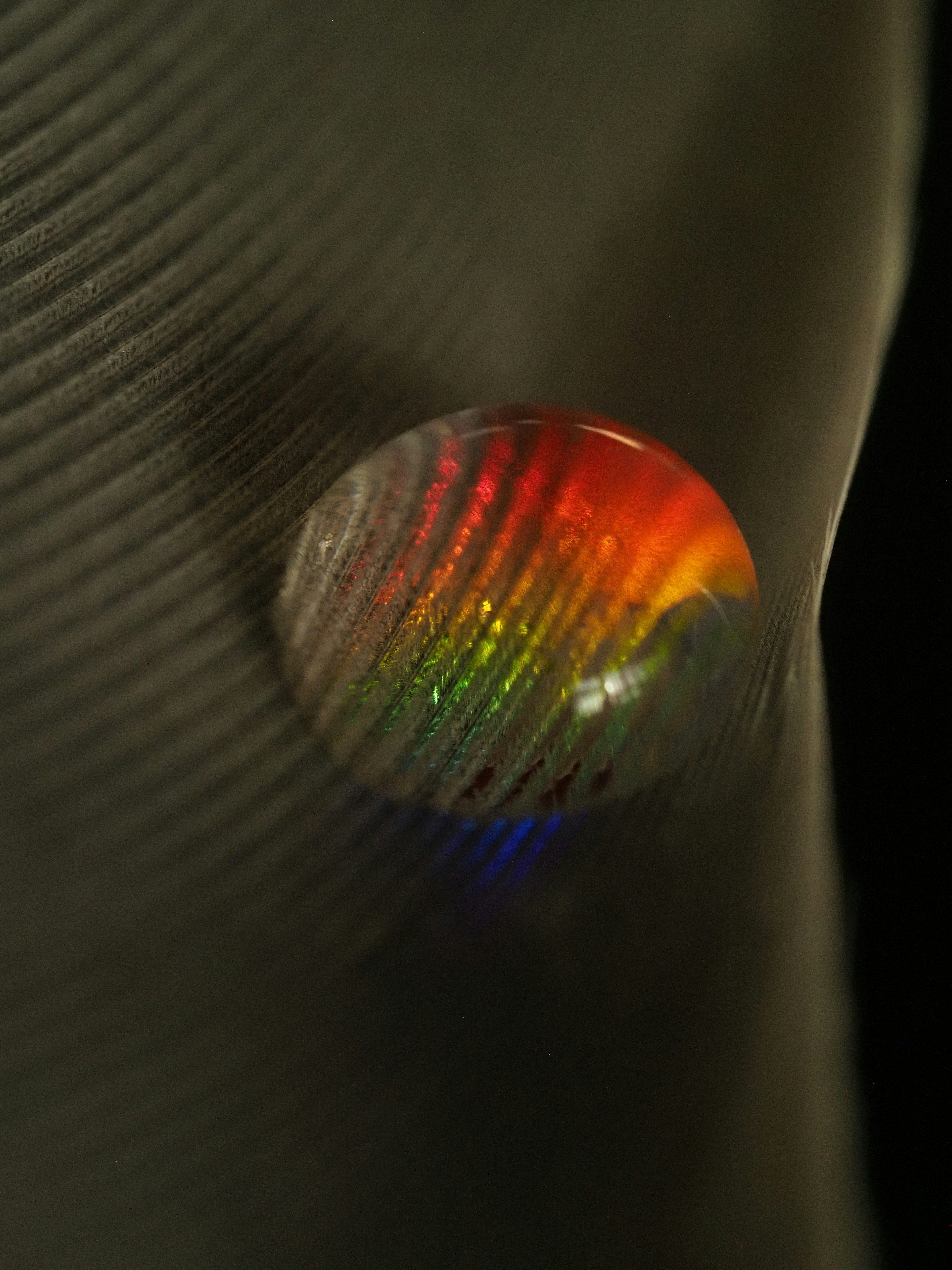 Spectrum in a Droplet: Rainbow Refraction on a Textured Dark Surface