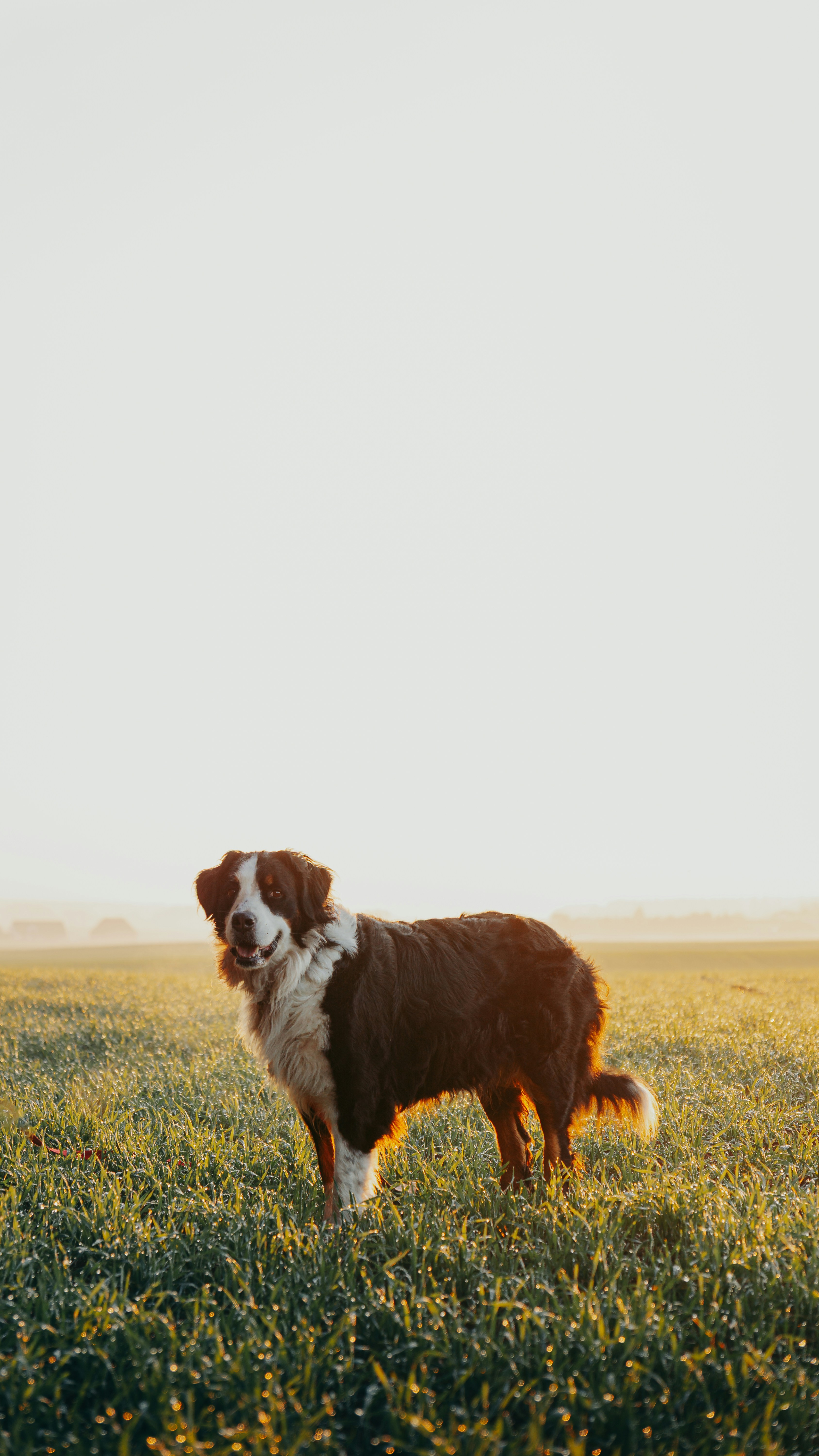 Photo by Michał Bielejewski with Sony Alpha 6000
