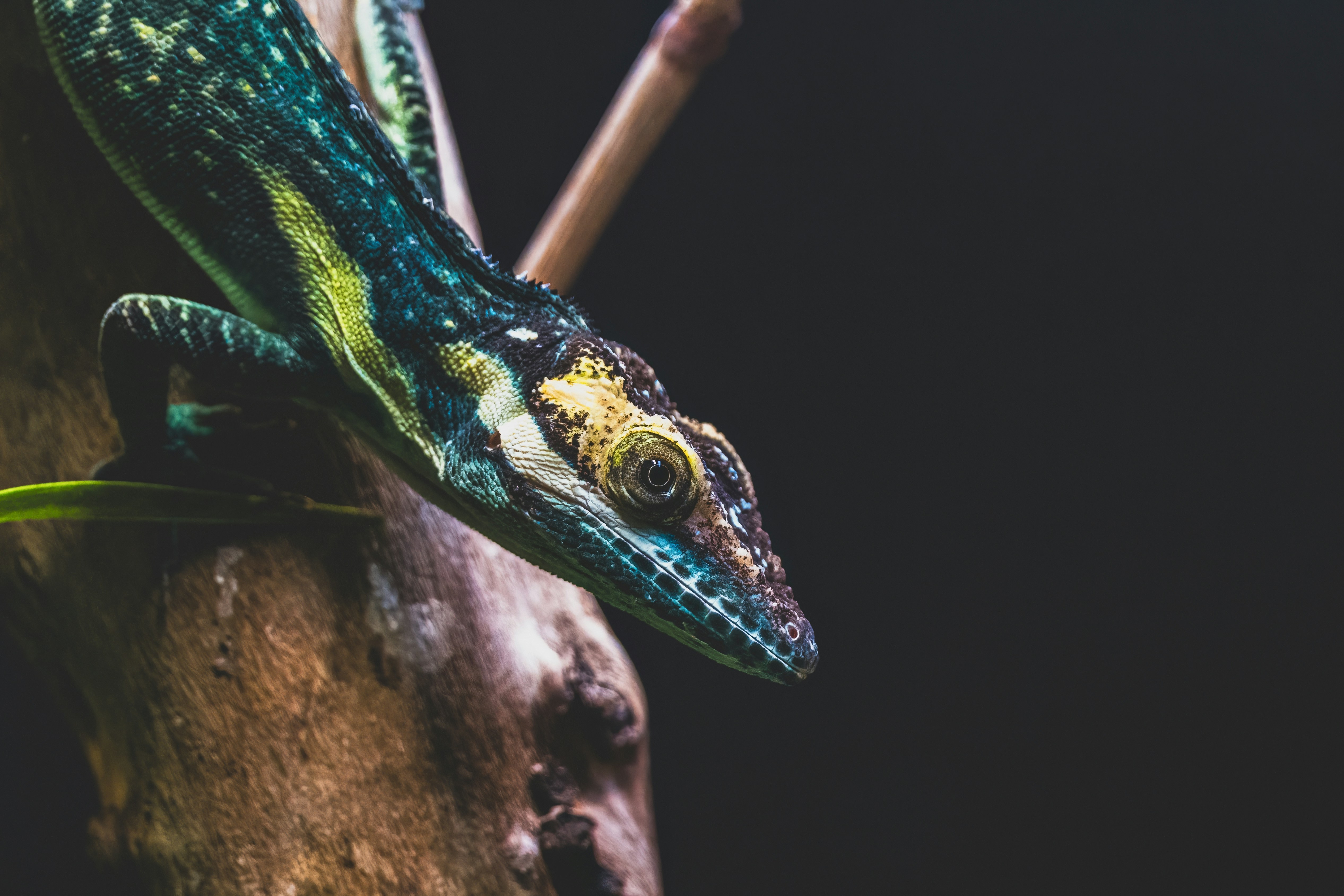 Photo by Johnathan Palmour with Sony Alpha 7 III