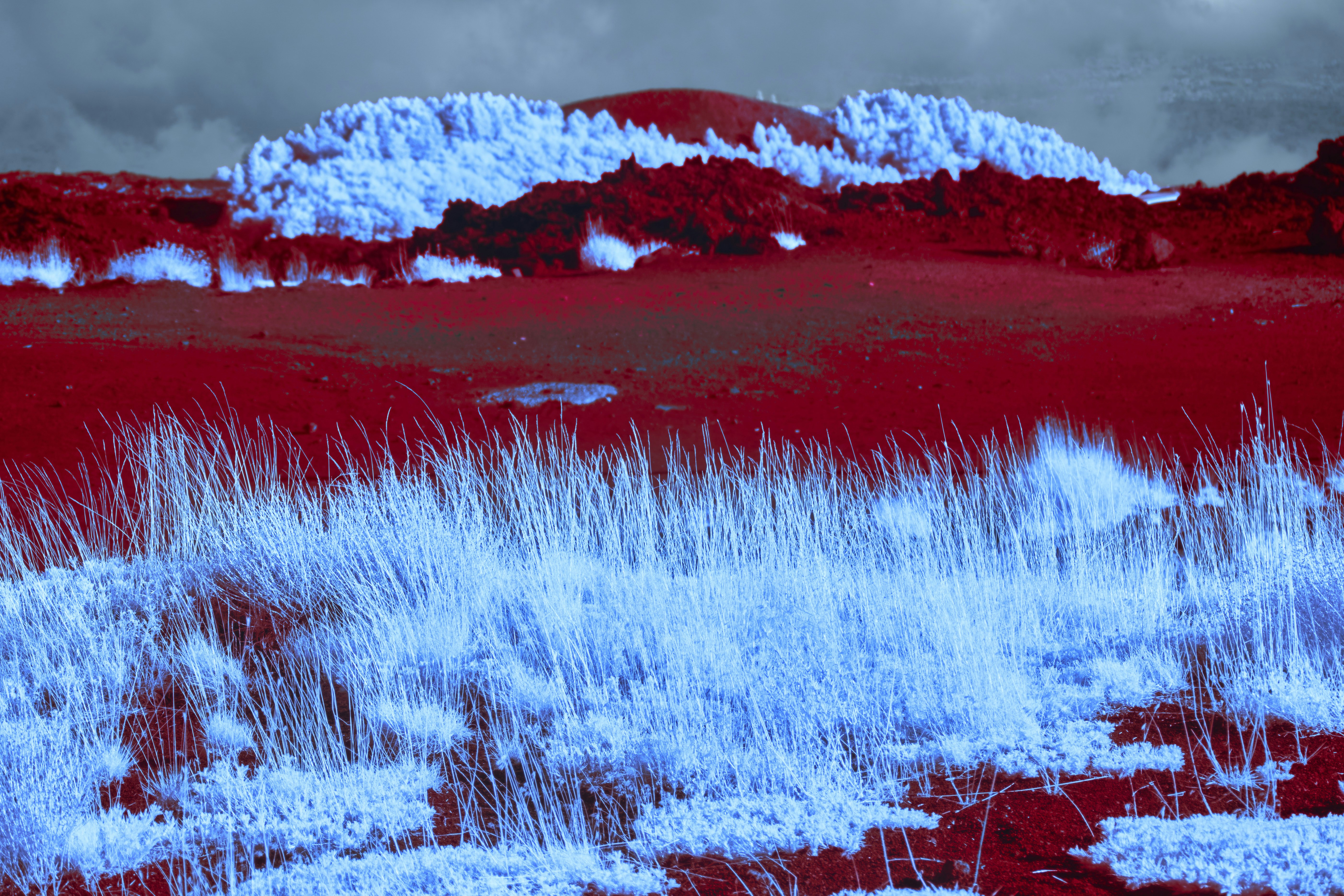 Photo by Wolfgang Hasselmann with Sony Alpha 7 IV