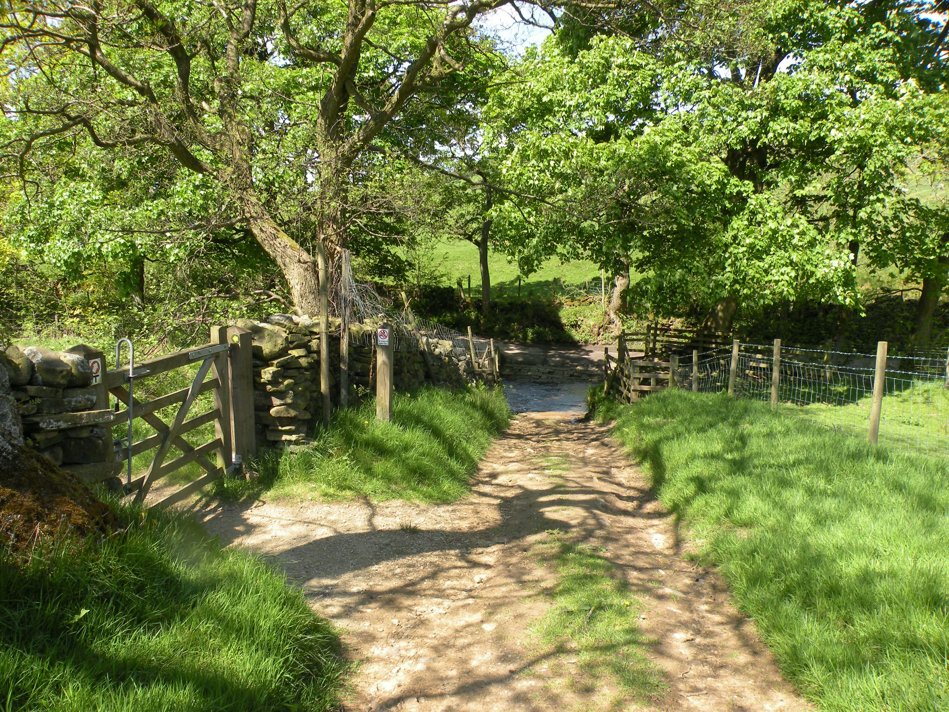 A dirt path leads through a green, wooded area.