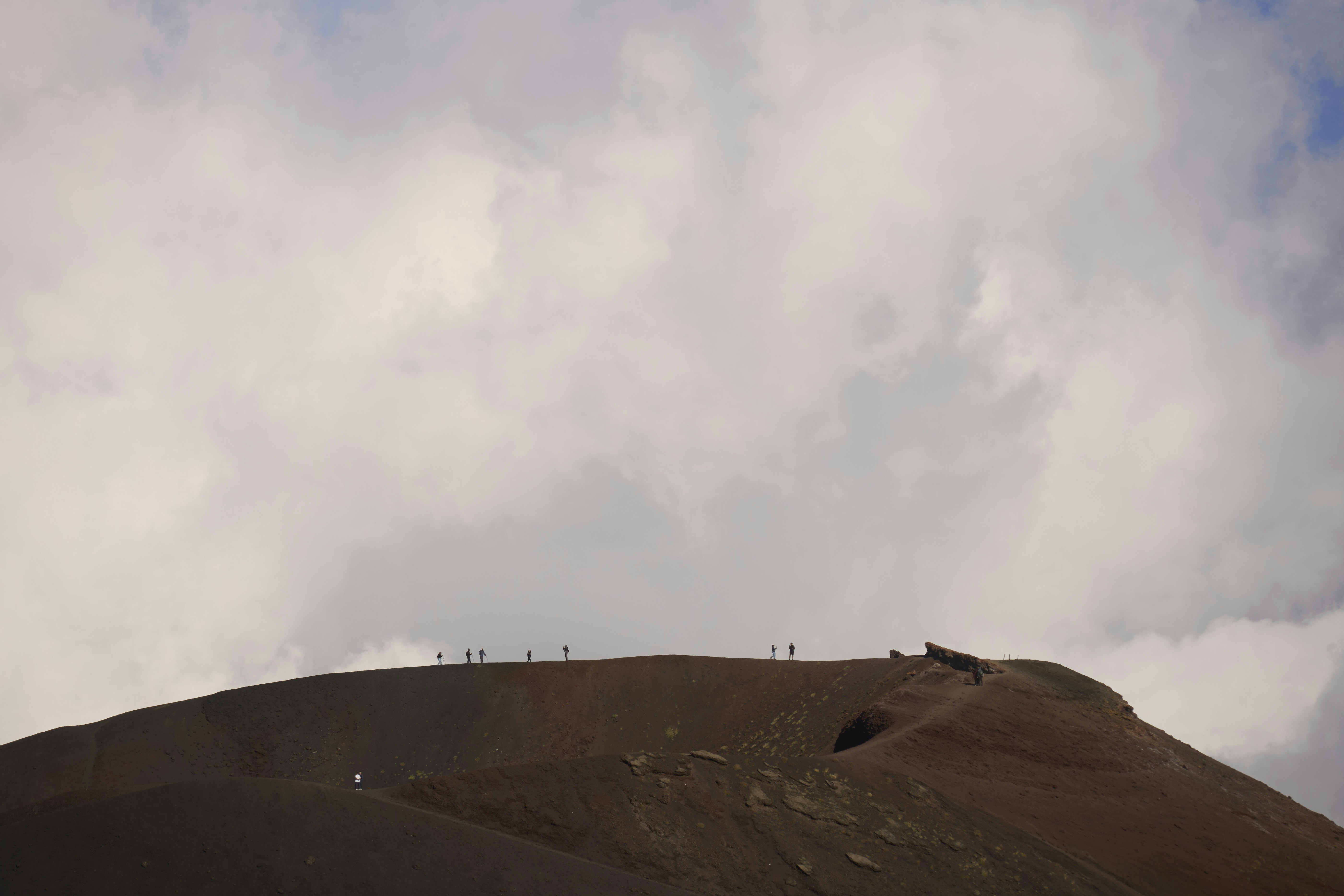 Photo by Wolfgang Hasselmann with Sony Alpha 7 IV