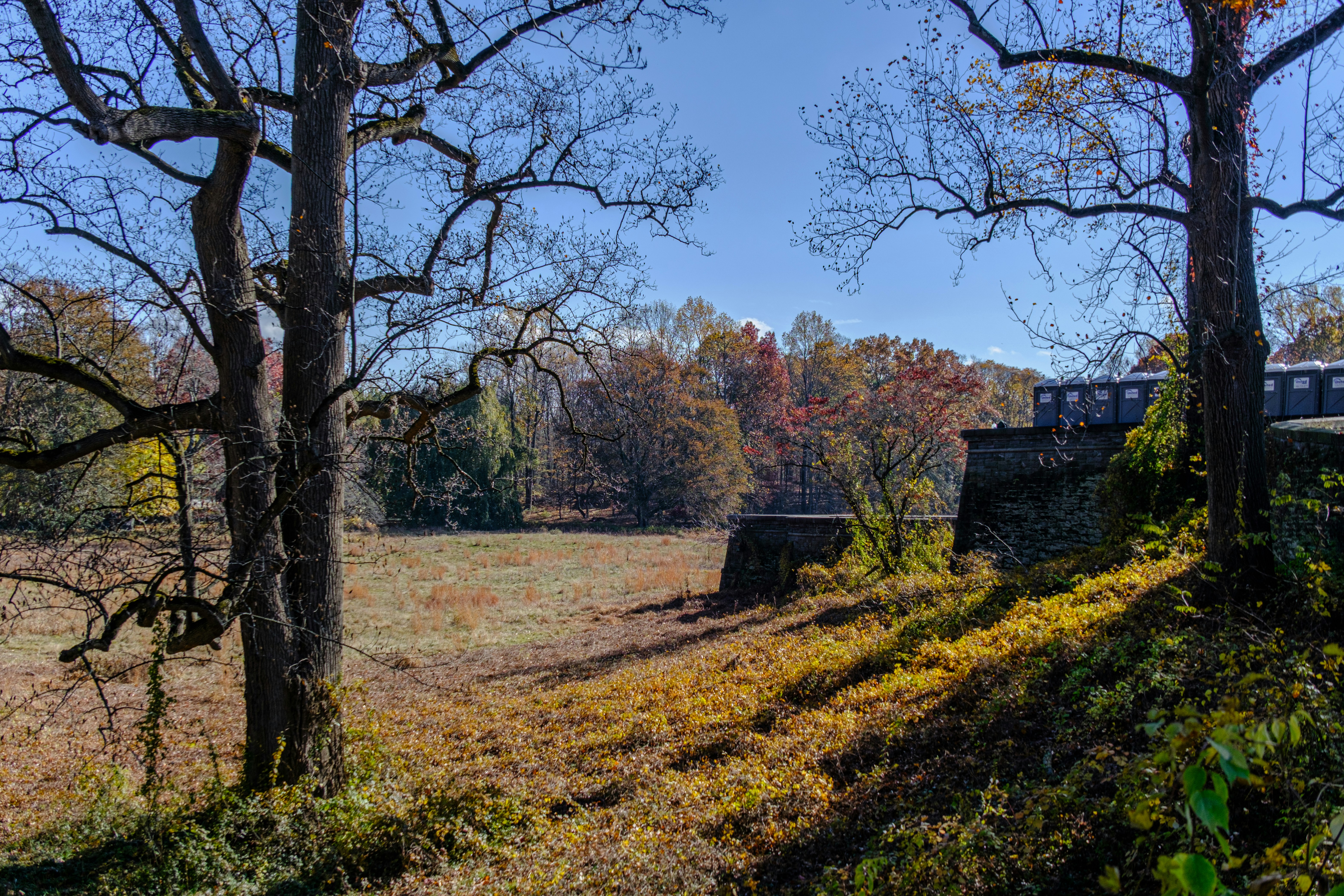 Photo by MICHAEL CHIARA with Fujifilm X-H2S