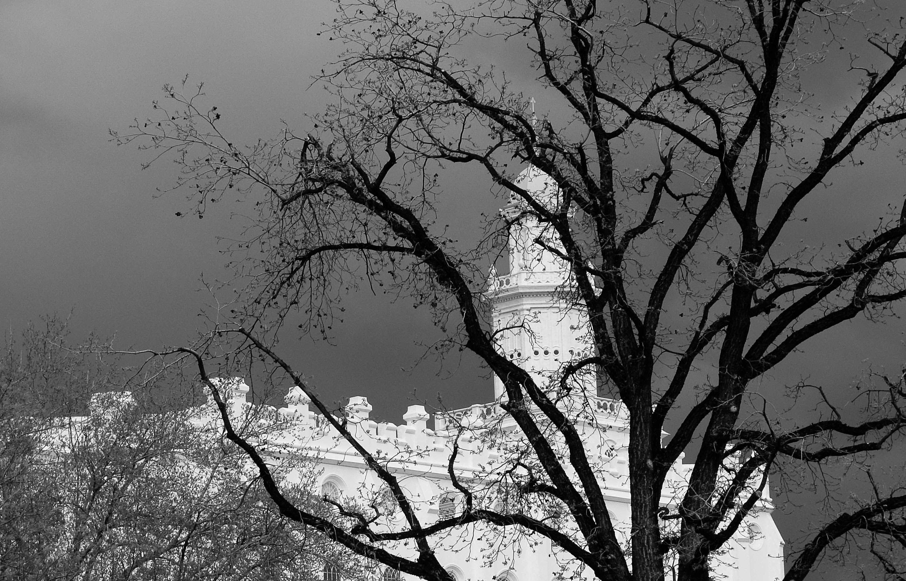 Monochrome photograph of a church spire peeking through a tangle of bare tree branches, creating a stark urban silhouette. The composition emphasizes contrast between natural forms and architectural detail.