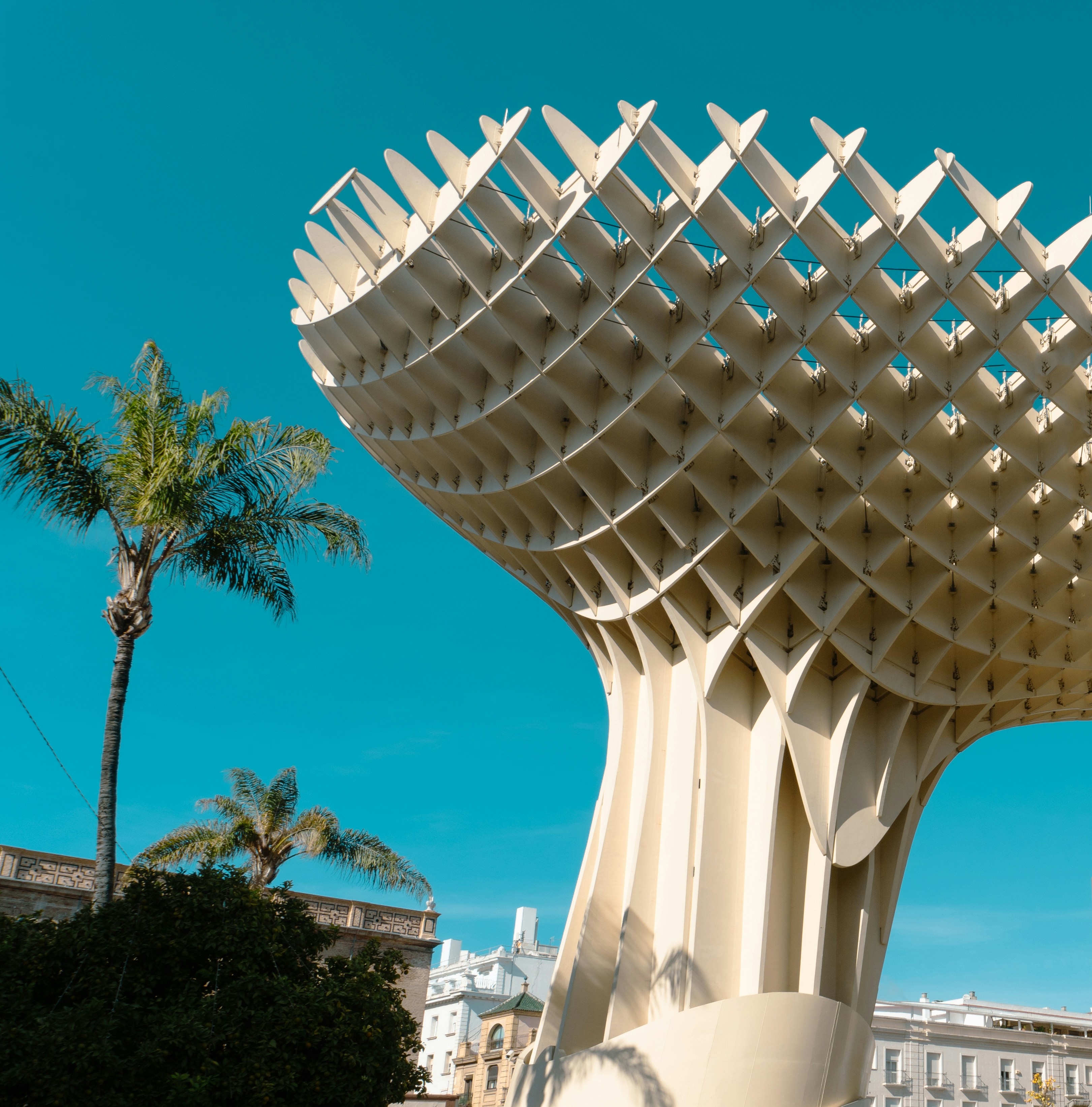 Photo by Hanieh Hosseinlow with SONY ZV-E10