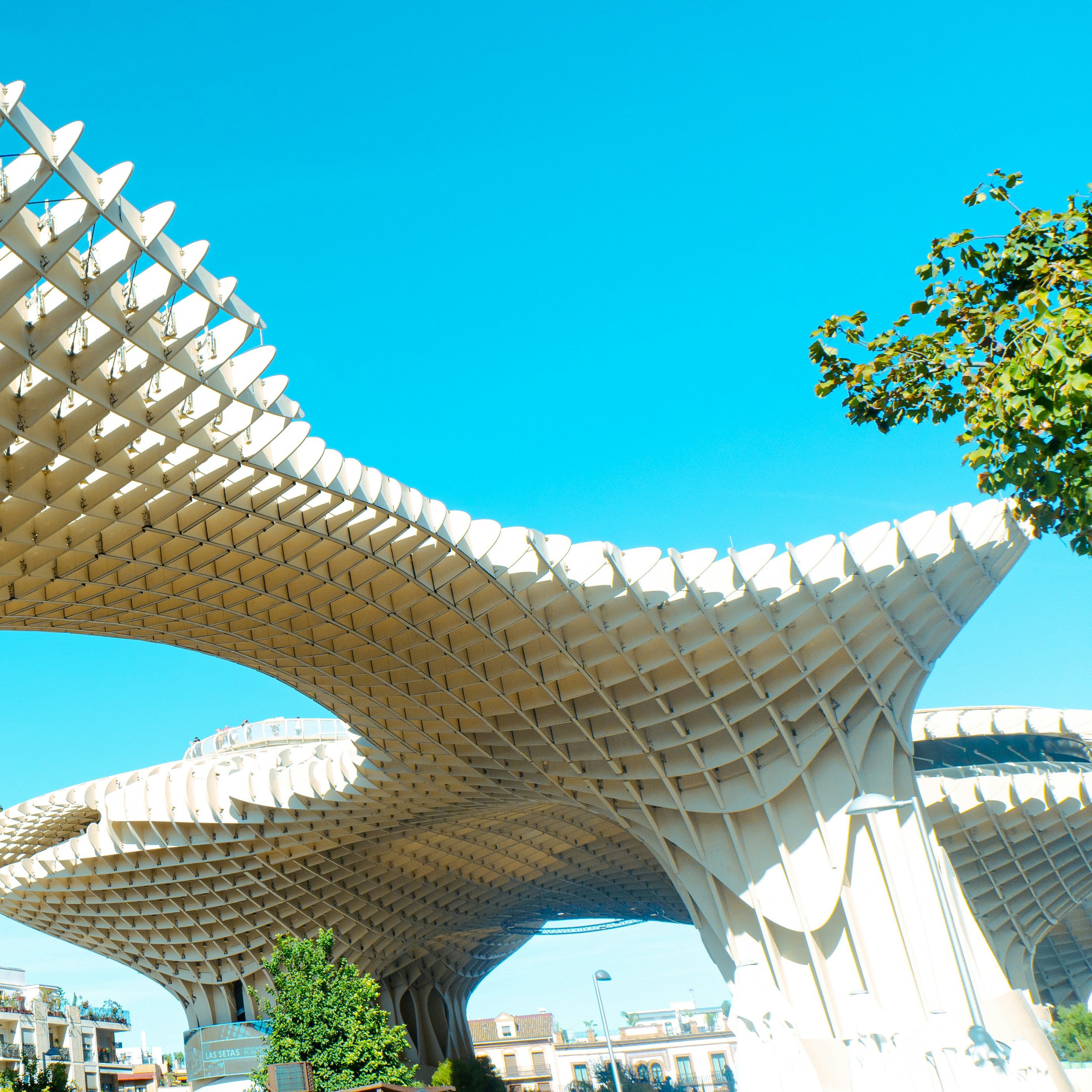 Skybound Lattice Arch: Light Weaving Over the Plaza