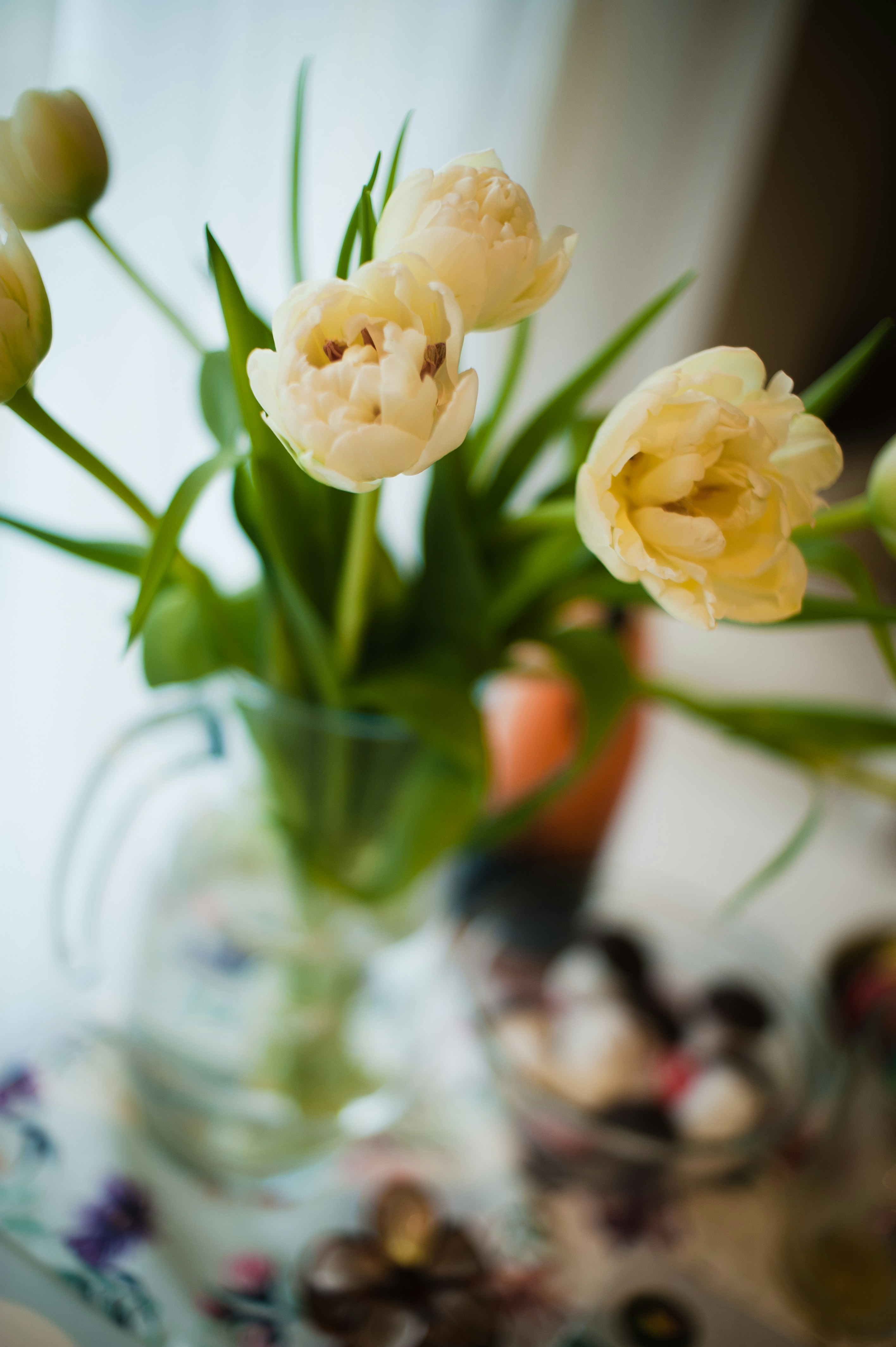 Cream Tulips in a Glass Vase Under Soft Window Light