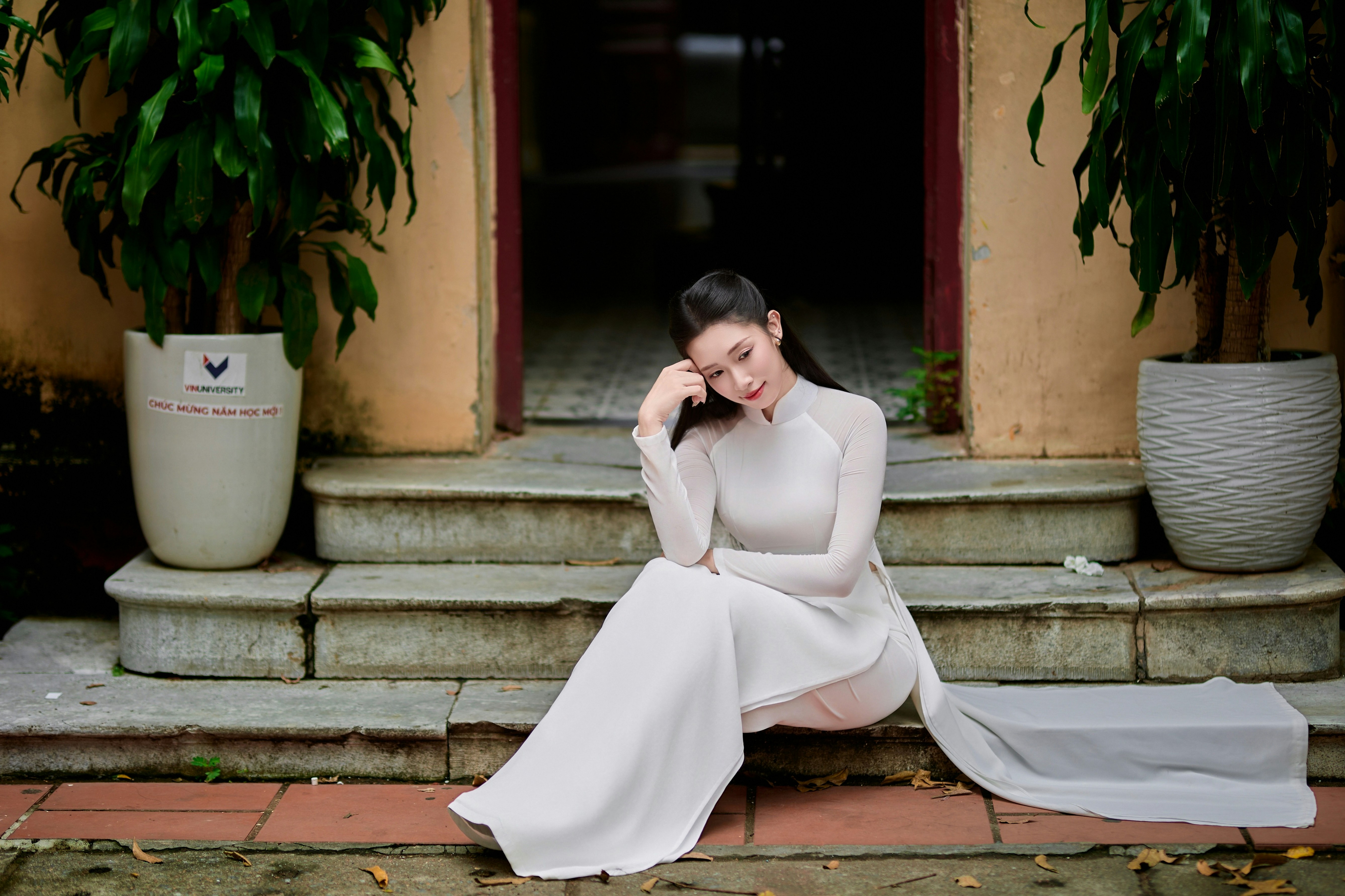 Ivory Silk at the Threshold: Quiet Grace on Weathered Steps